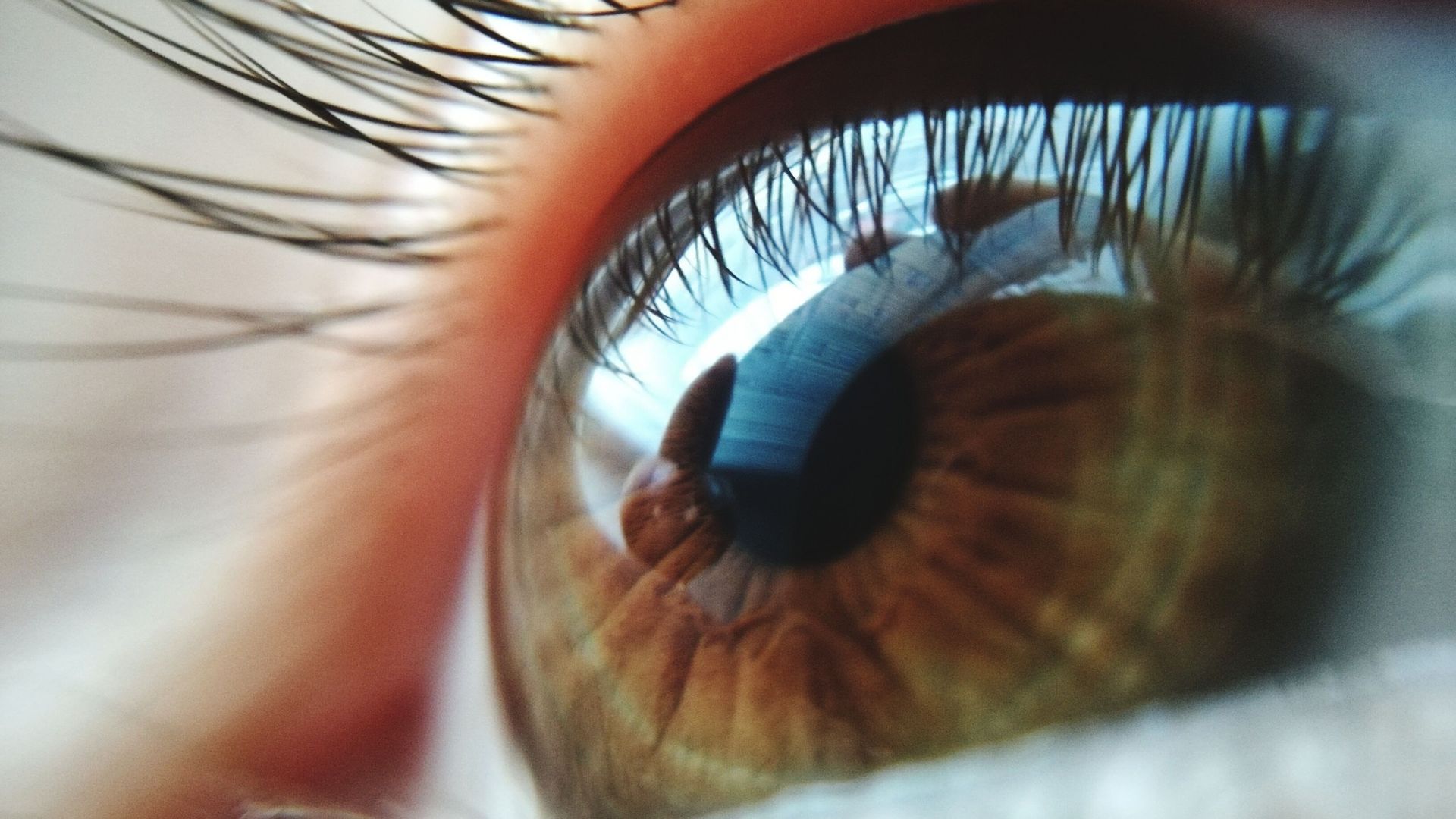 Nature vs Nurture: How your genes shape who you are - BBC Reel