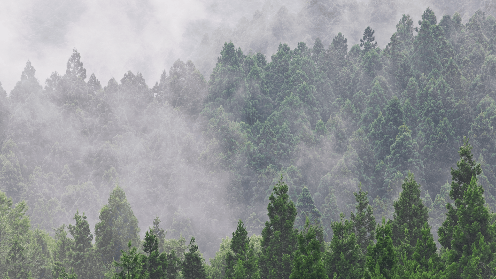 Lessons on mindfulness and self-discovery from Japan's mountains Article