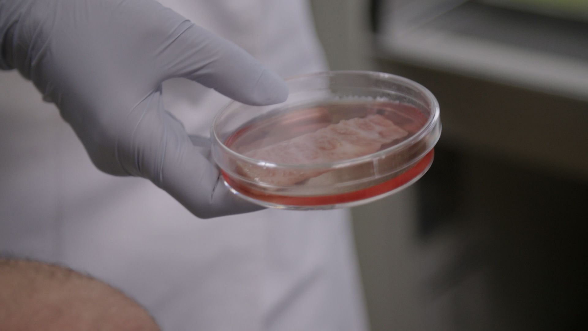 Japan: Creating the first wagyu beef in a lab - BBC Reel