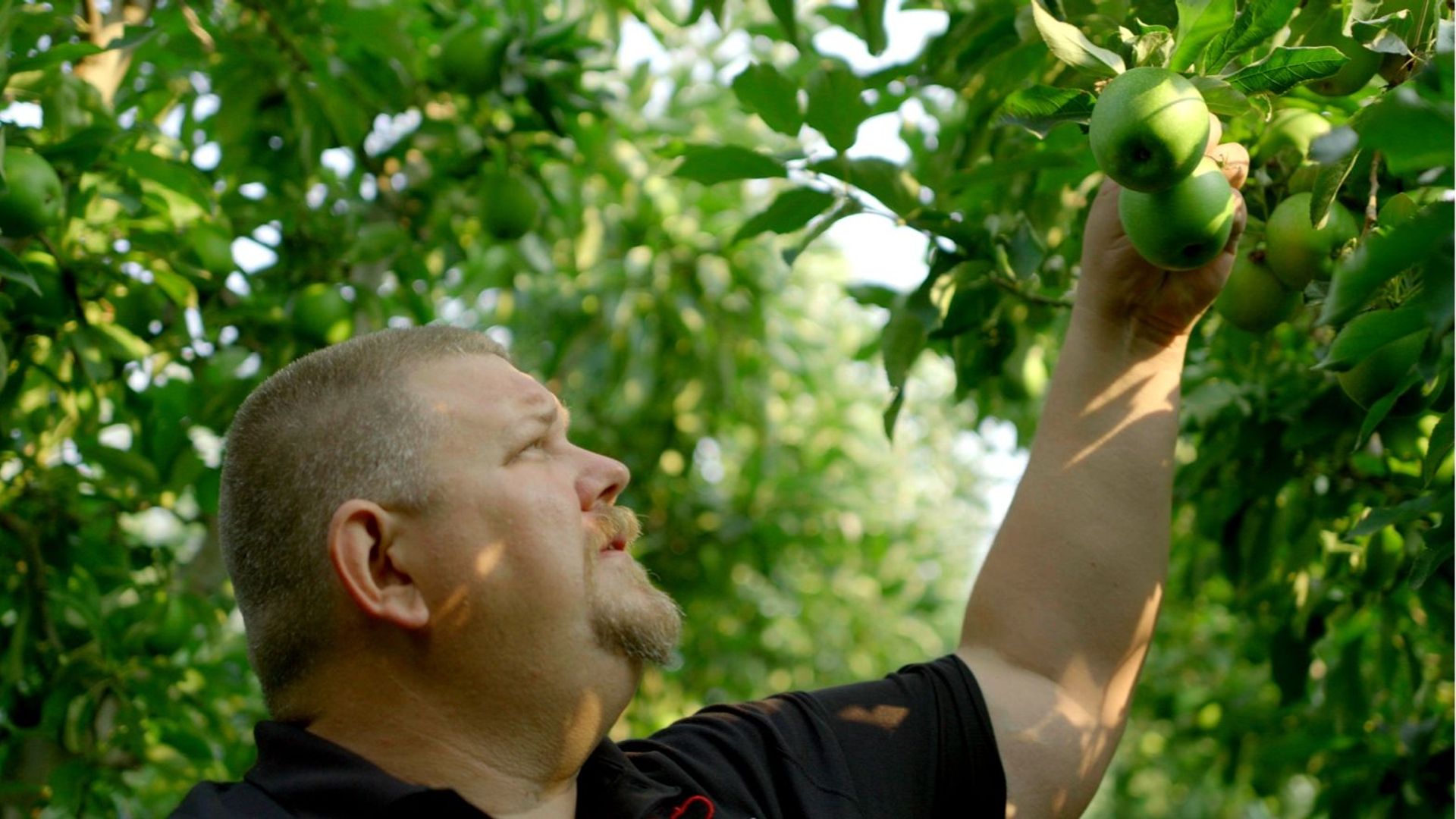 Vestaron Biologic crop protection