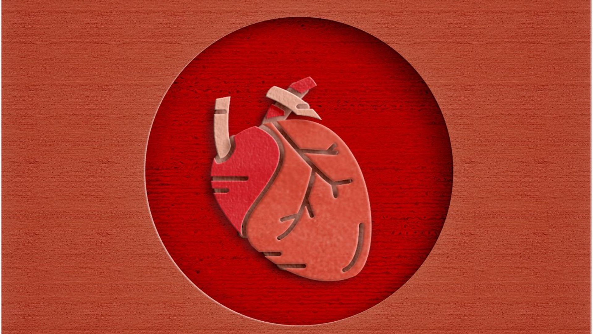 GE Healthcare Heart health for women