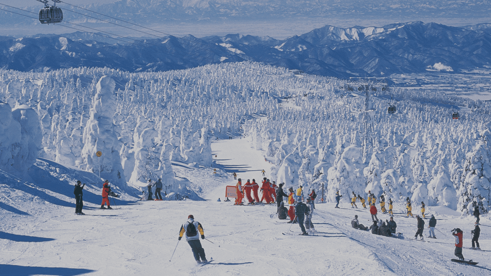 A year of adventure in Japan's Tohoku Region | Article