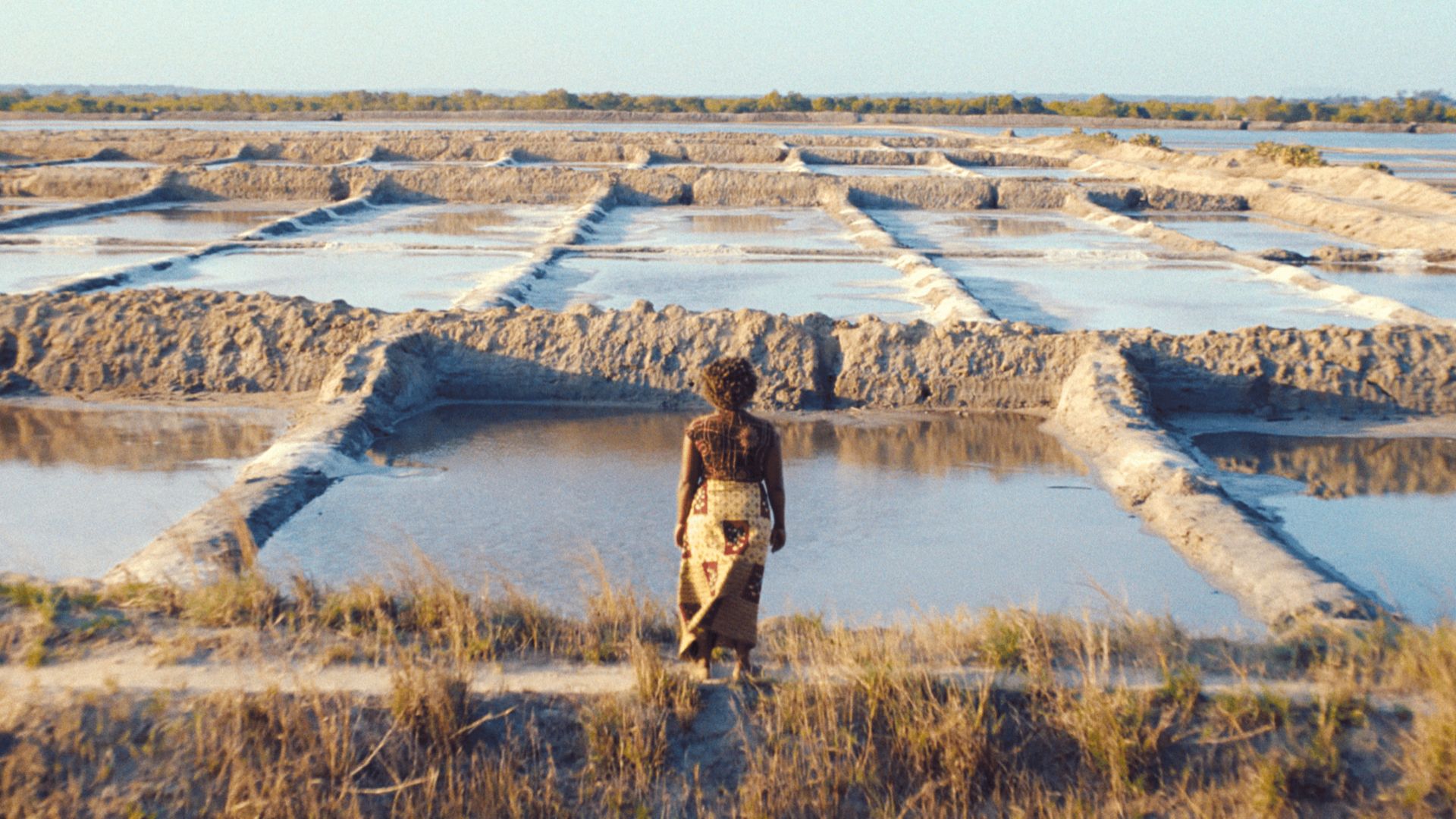 Science Foundation Ireland - Coastal Erosion