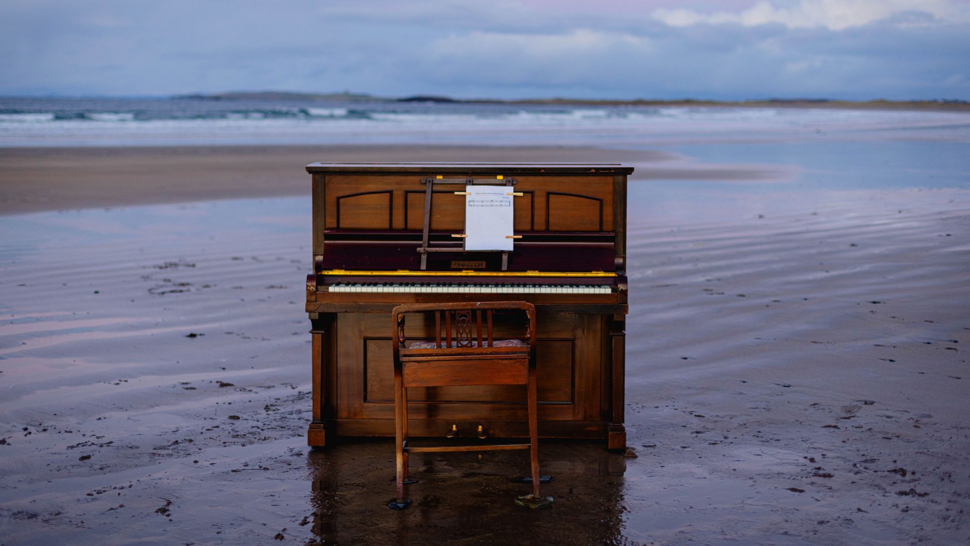 Science Foundation Ireland - Sound of the Sea