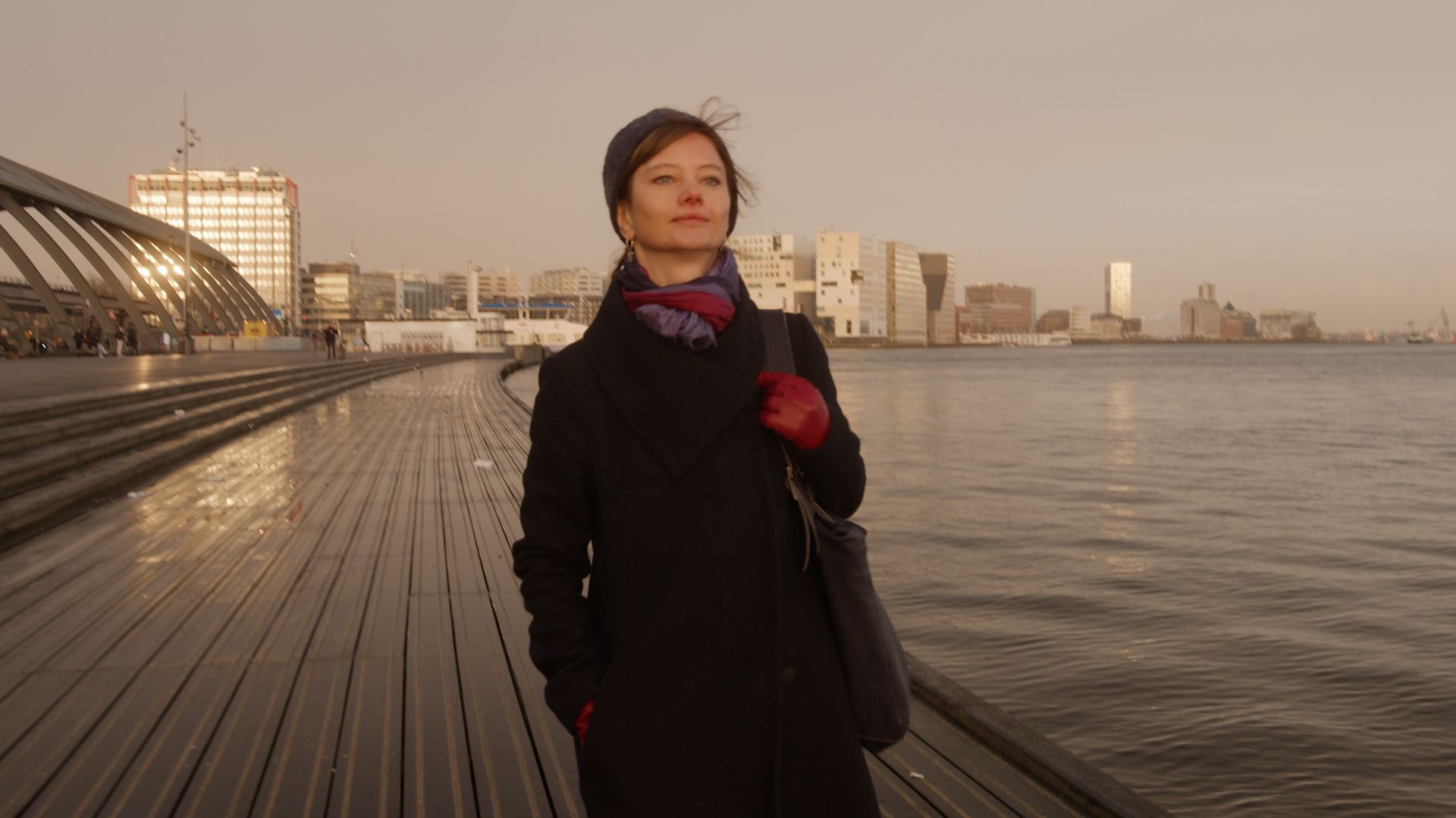 fsc-forest-stewardship-council-amsterdam-rainforest-wood-timber ...