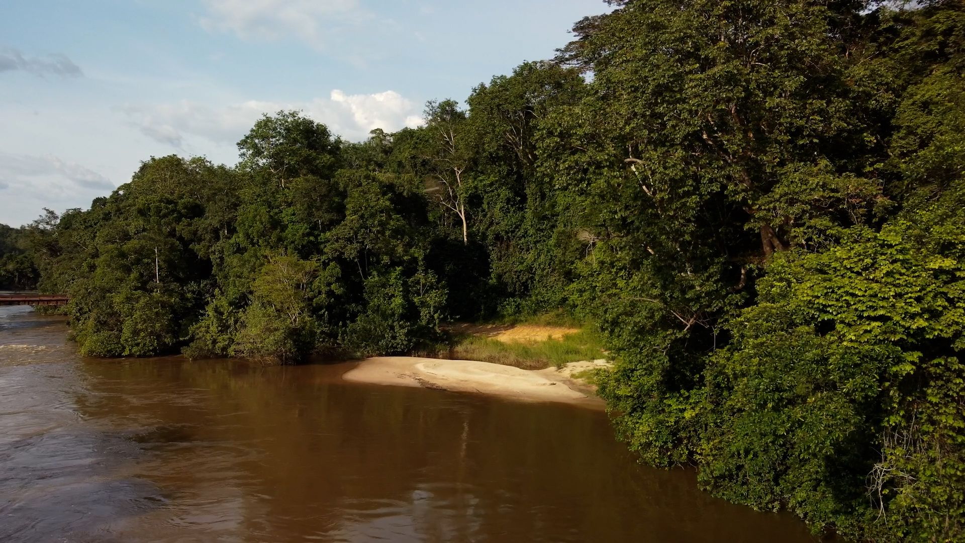 fsc-forest-stewardship-council-amsterdam-rainforest-wood-timber ...