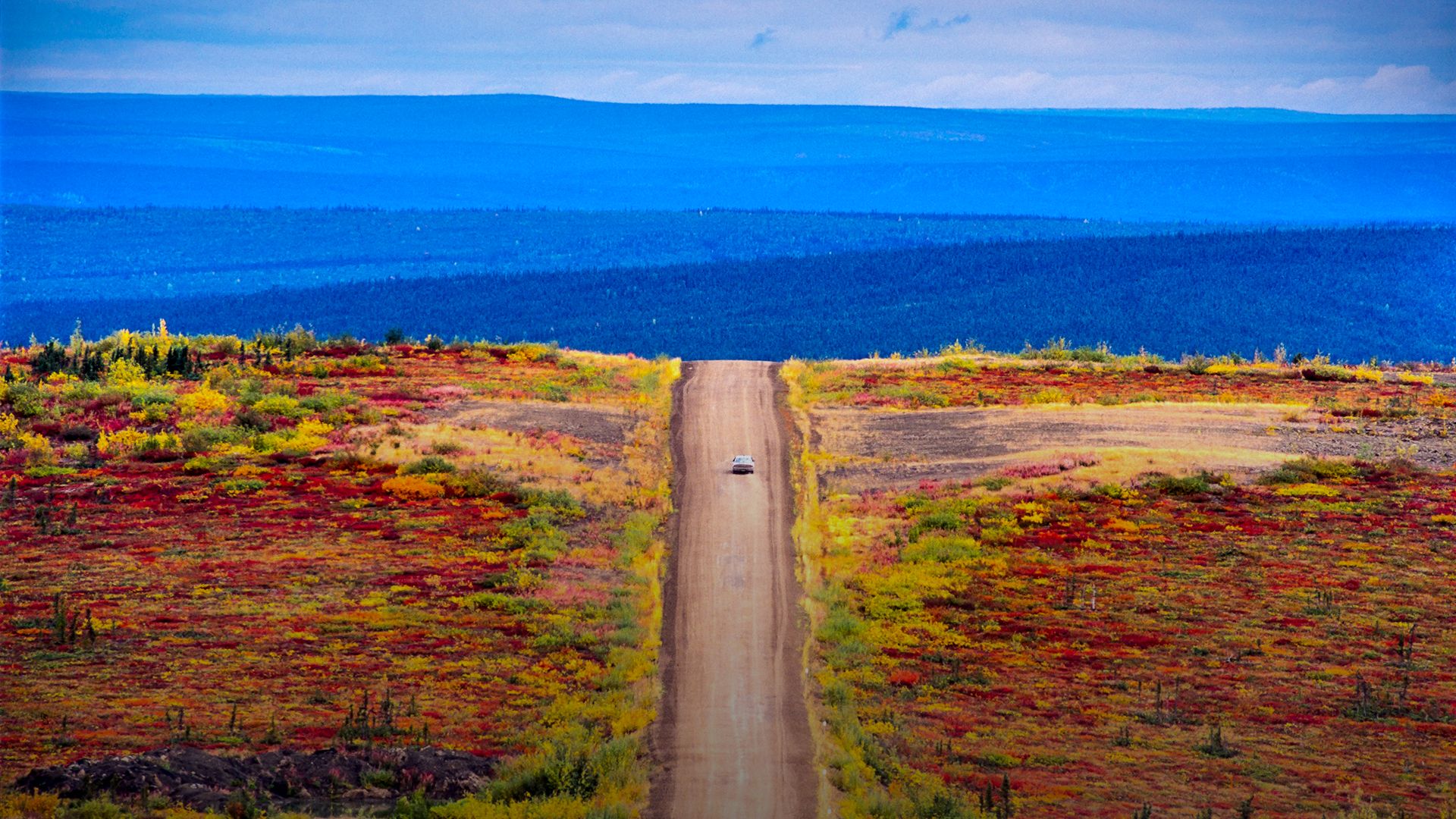 Where the wild sounds are: Canada's new generation of festival culture