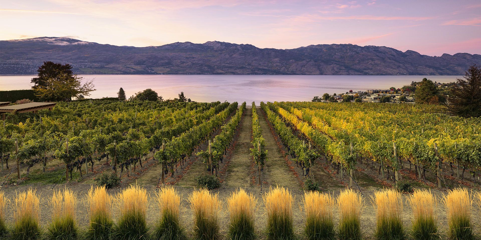 Discover Kelowna, the Heart of the Okanagan Valley