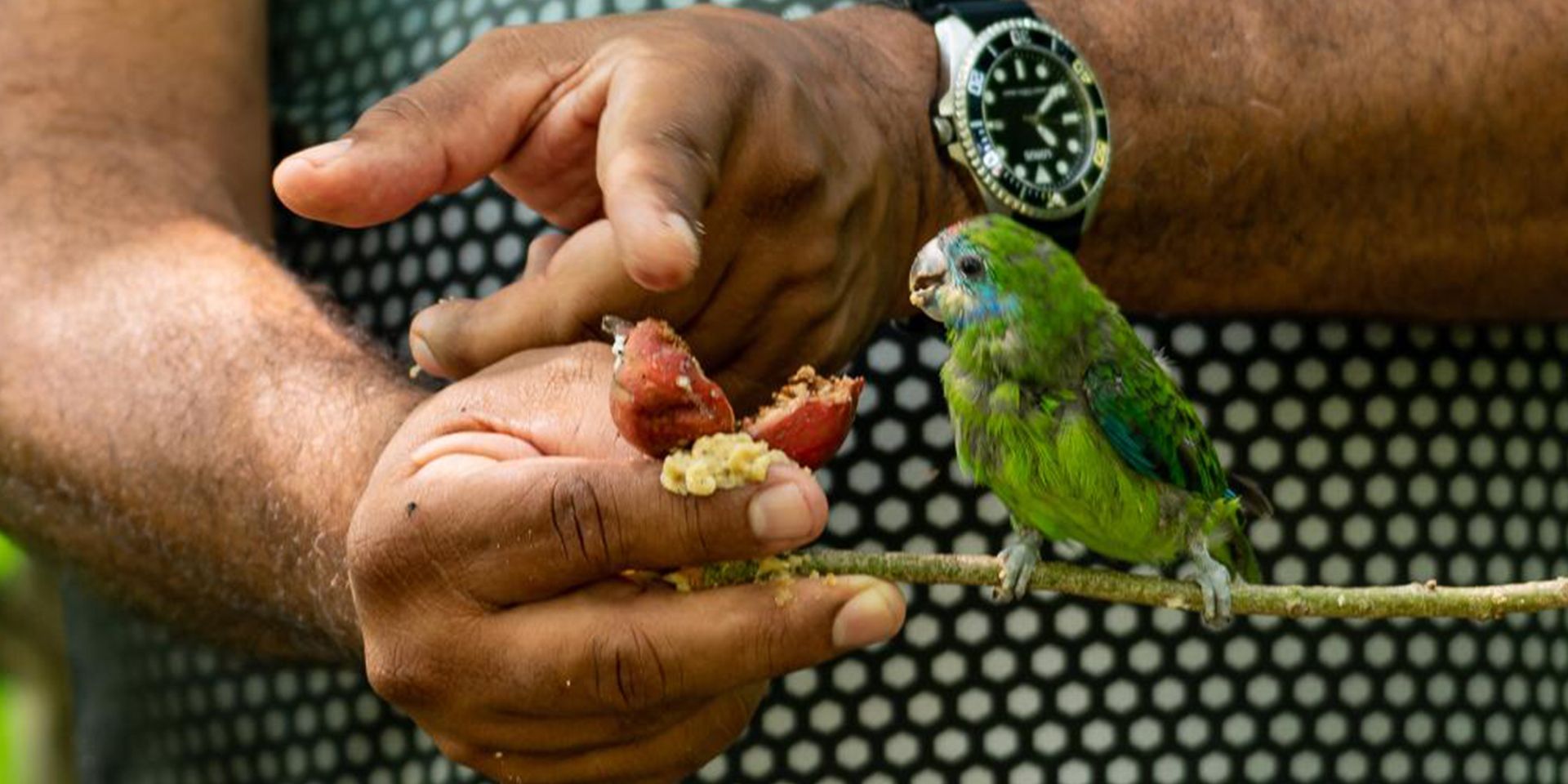 How sustainable finance with CommBank helps First Nations and business ...