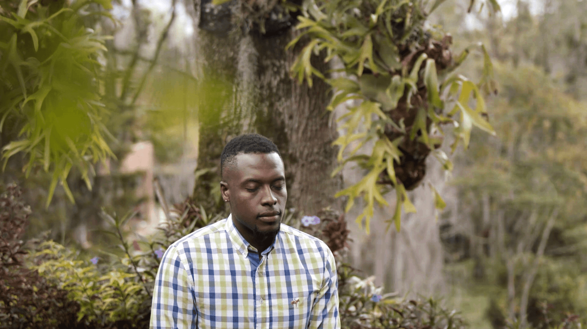 Dr Tony Nader Institute 2