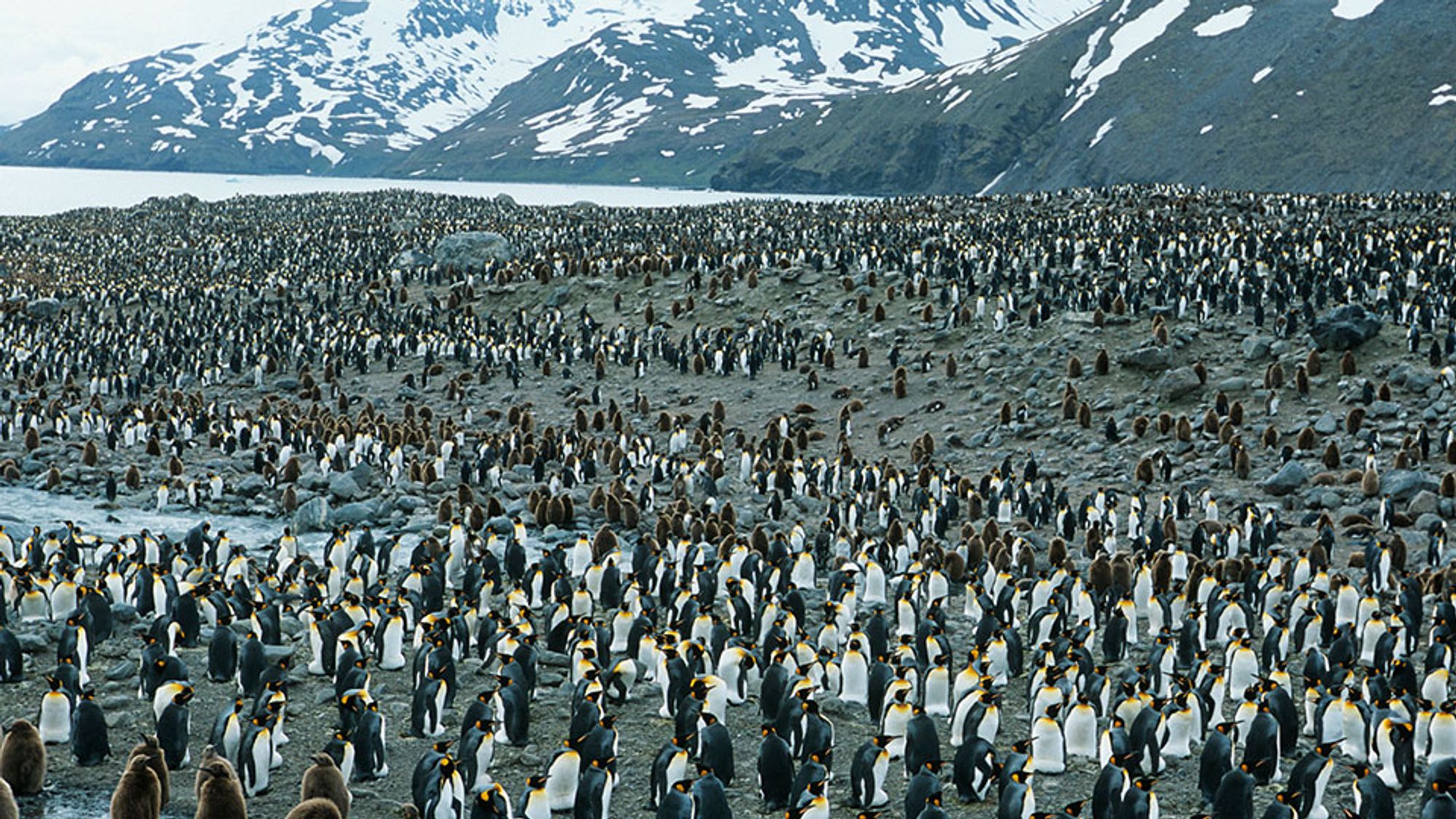 Redefining Luxury Travel - Article