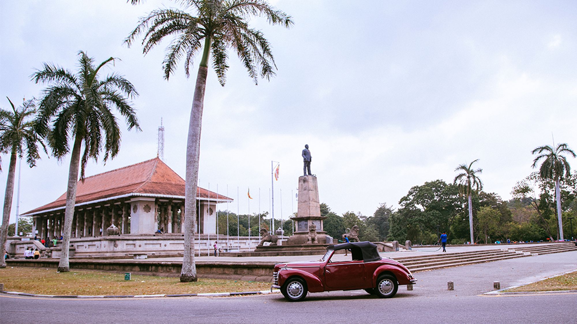 unravel the ceylonese wilderness photo essay