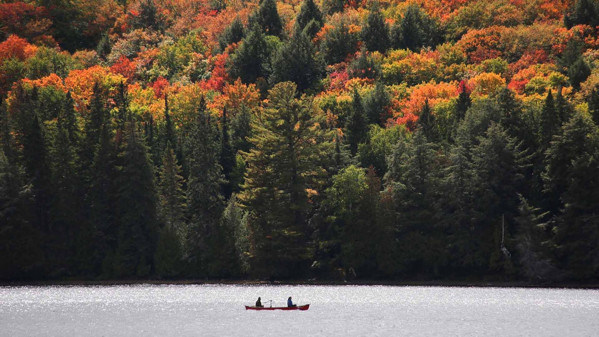Algonquin Provincial Park Inspires New Beginnings