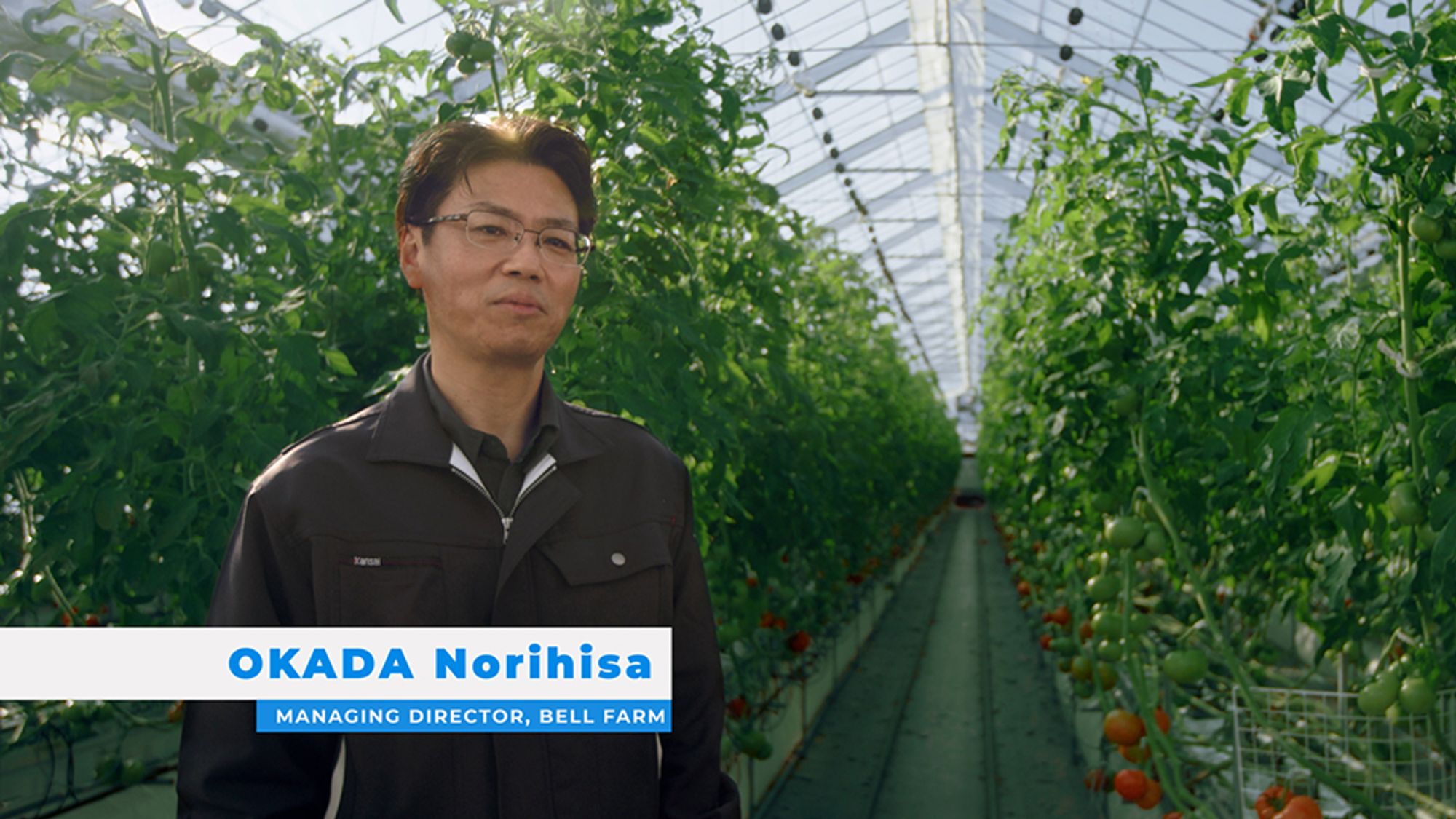 Japan Agriculture Tech Savvy Farmers A New Hope For Japan's Shrinking
