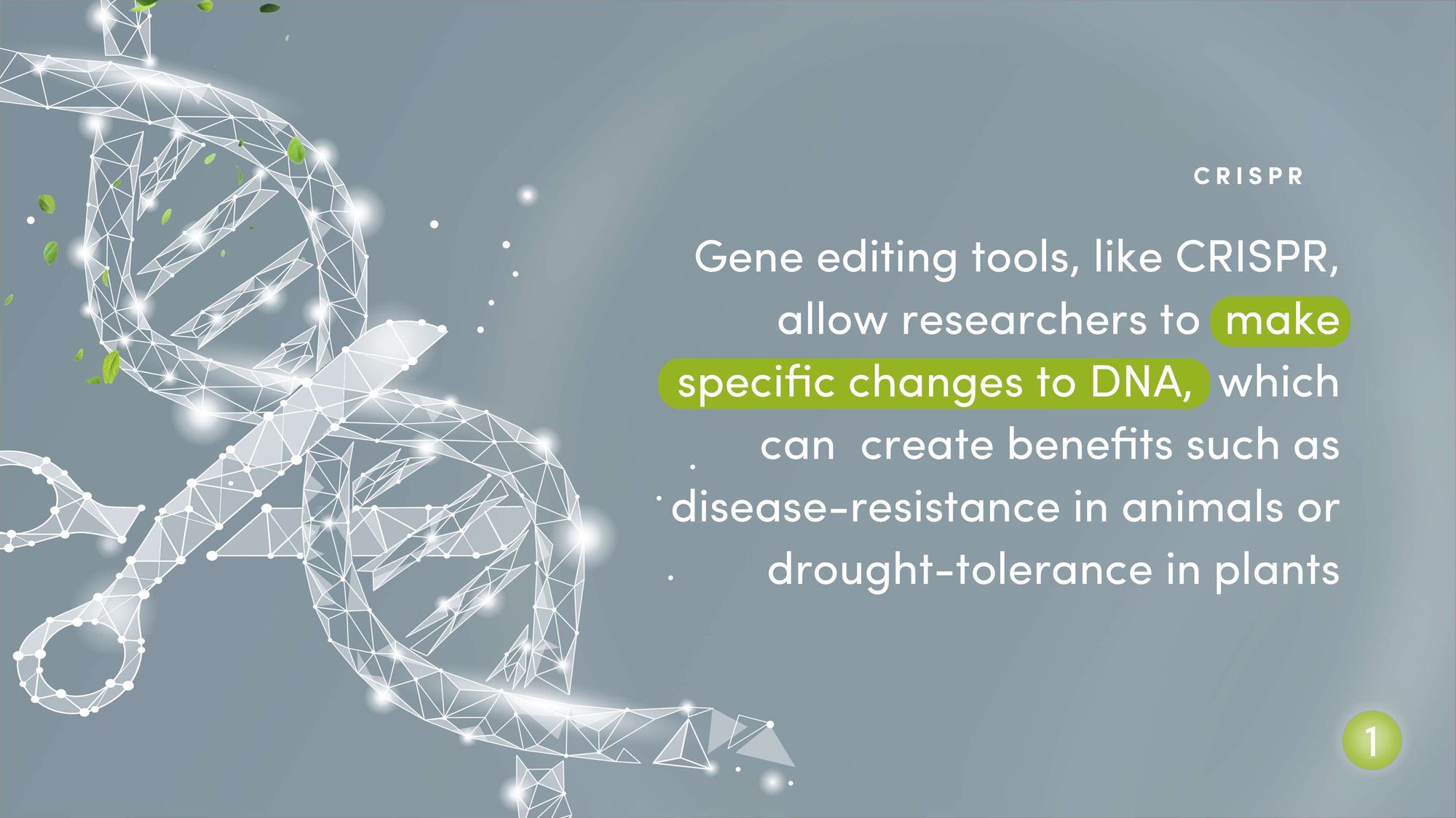 Engineering evolution