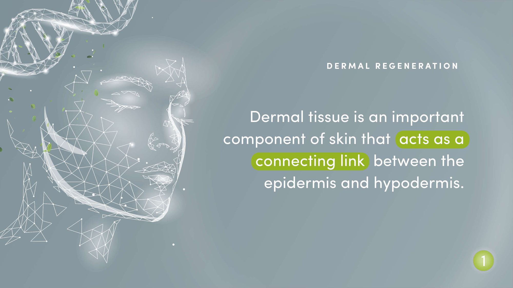 Rebuilding skin tissue and lives