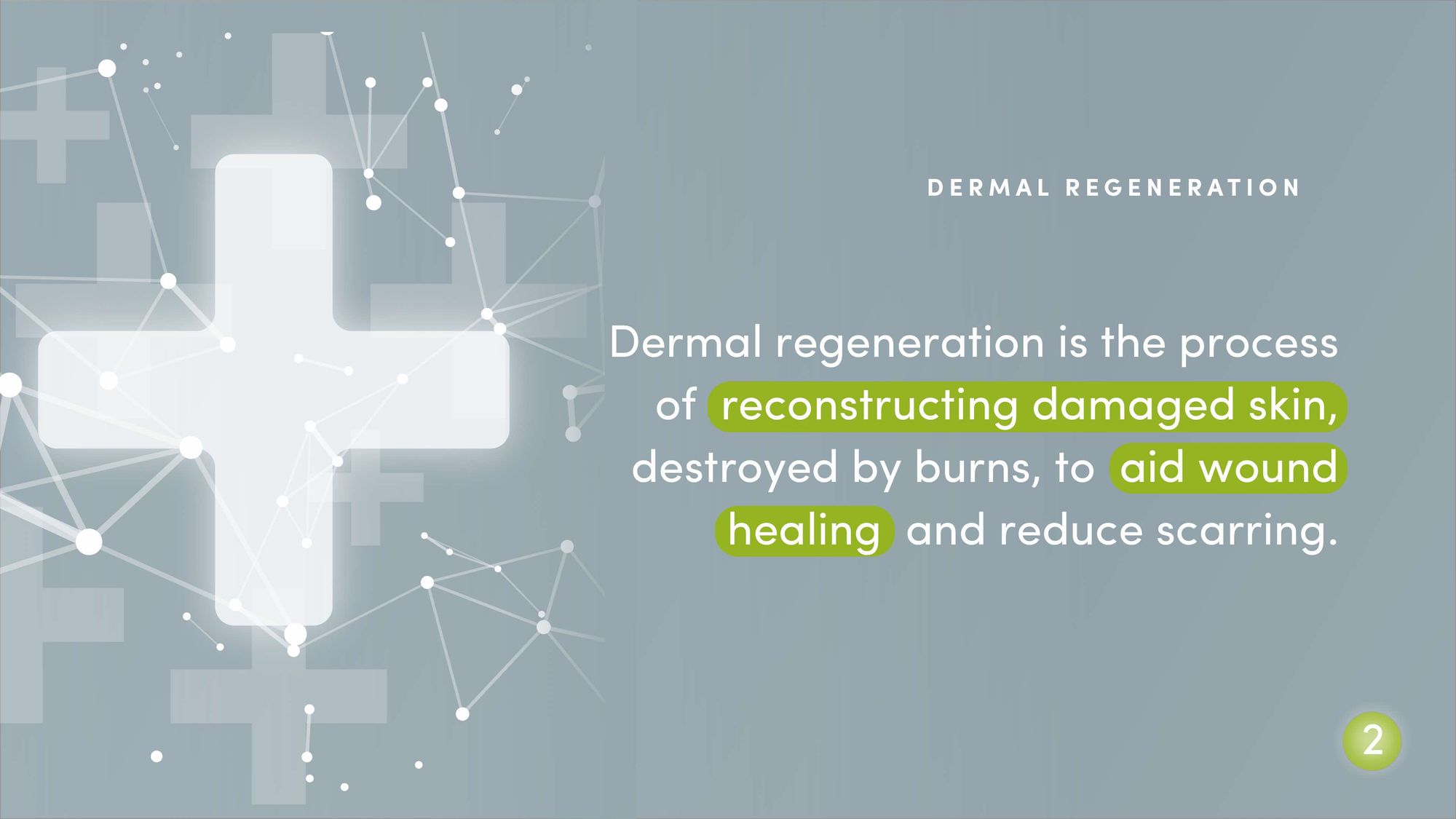 Rebuilding skin tissue and lives