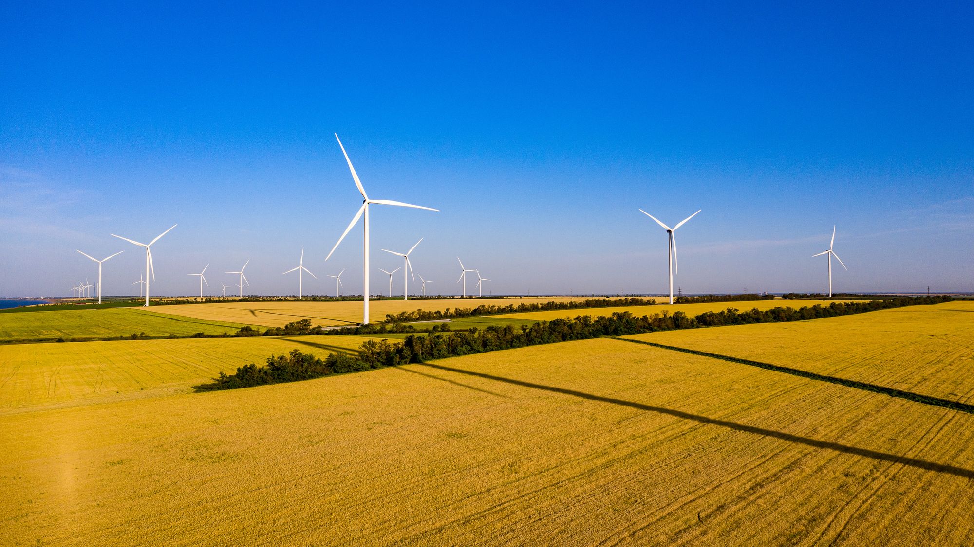 Why innovation is the heartbeat of Ukraine in 2021