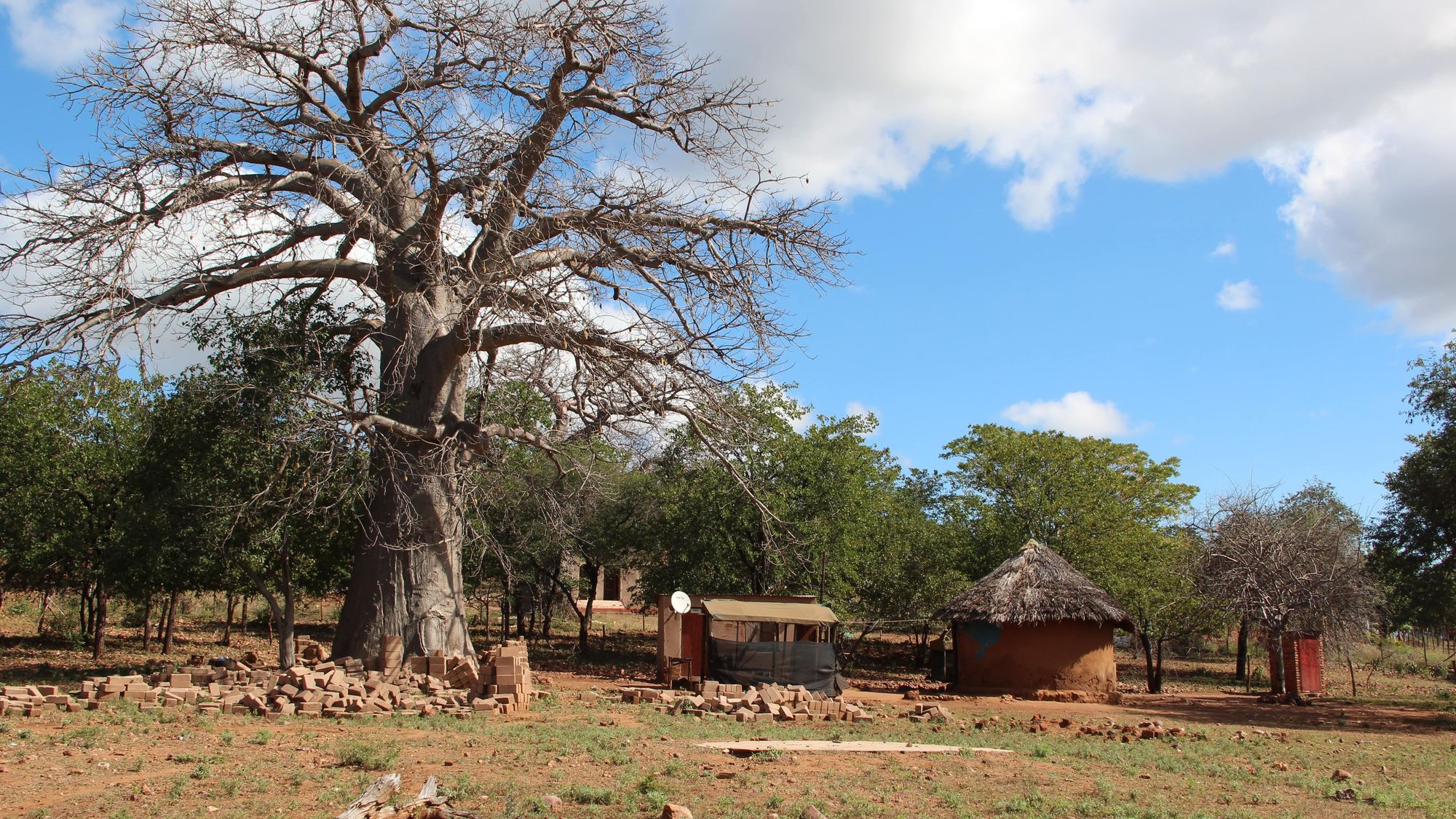 How collaboration and new drugs could beat malaria