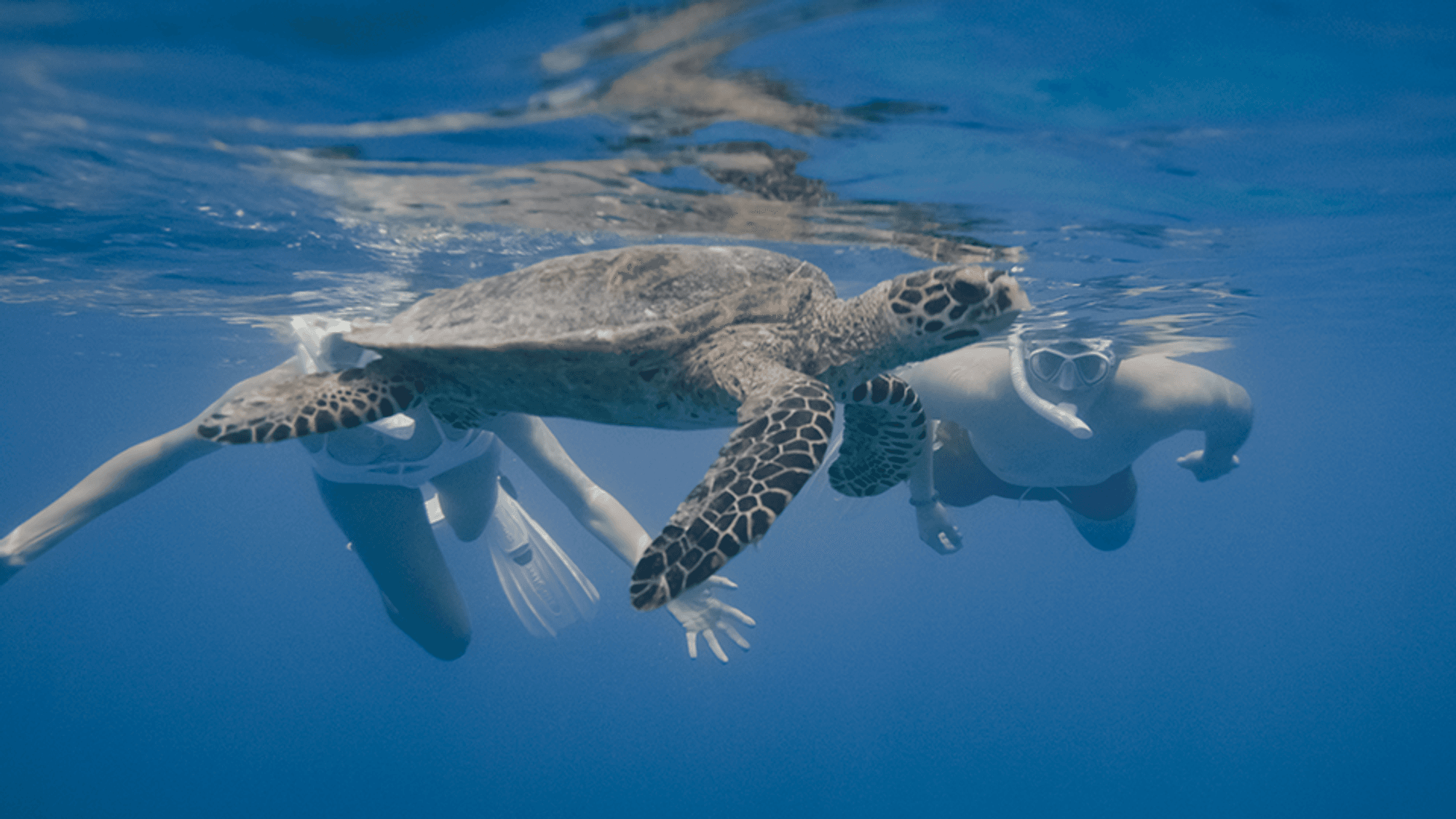 The country with an island for every traveller Article