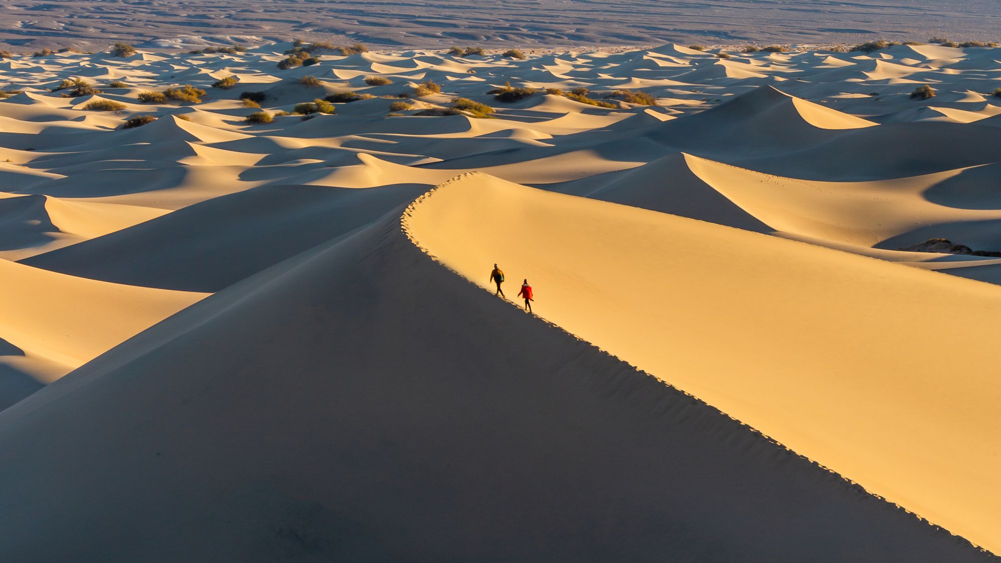 A new age of post-pandemic travel - Article