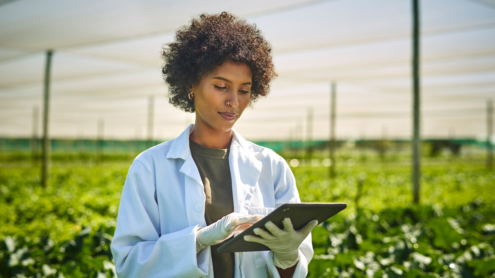 Enabling growth in Africa's agricultural economy - Absa Insights 2