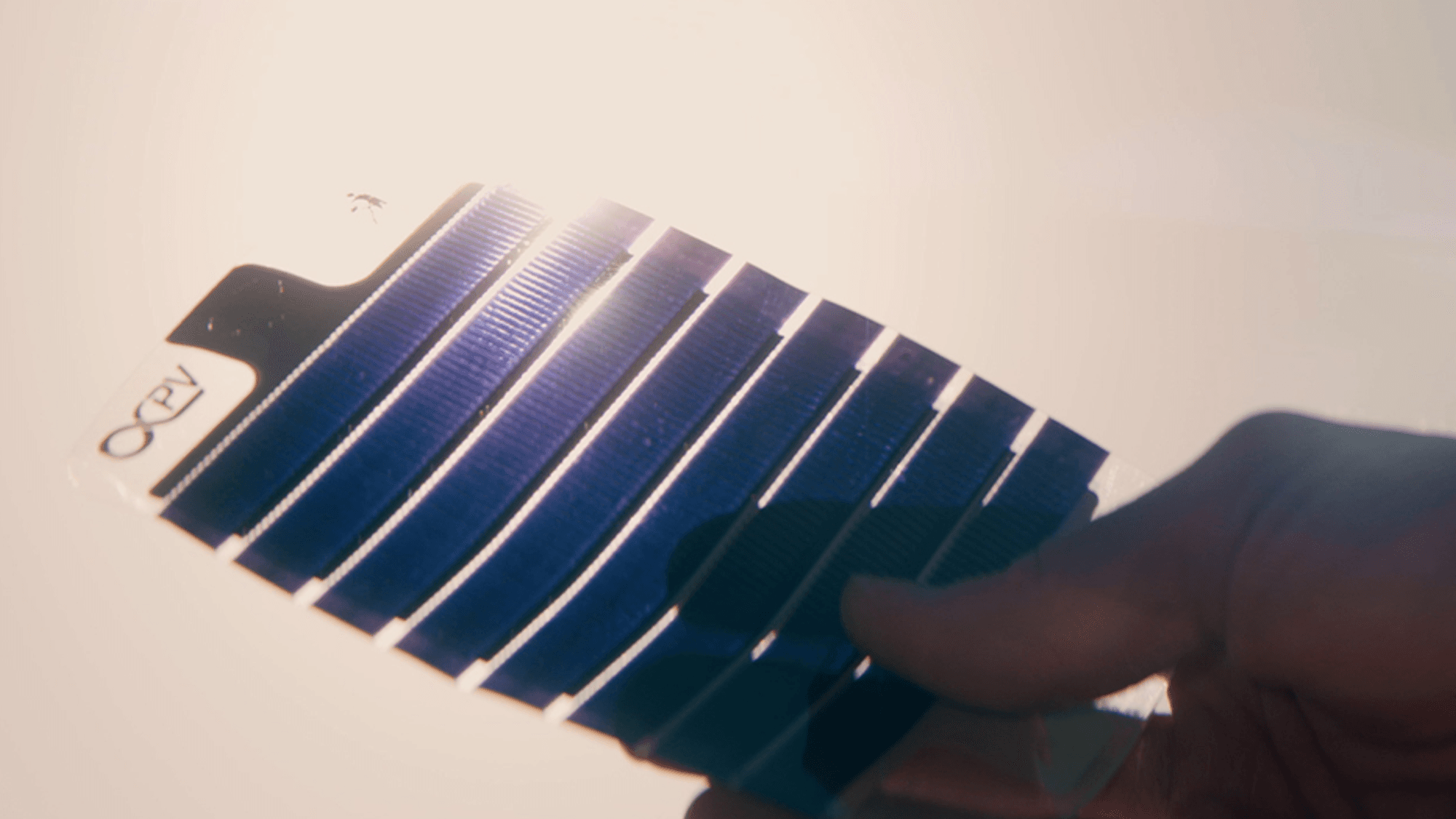 The groundbreaking solar project helping to power a brighter tomorrow