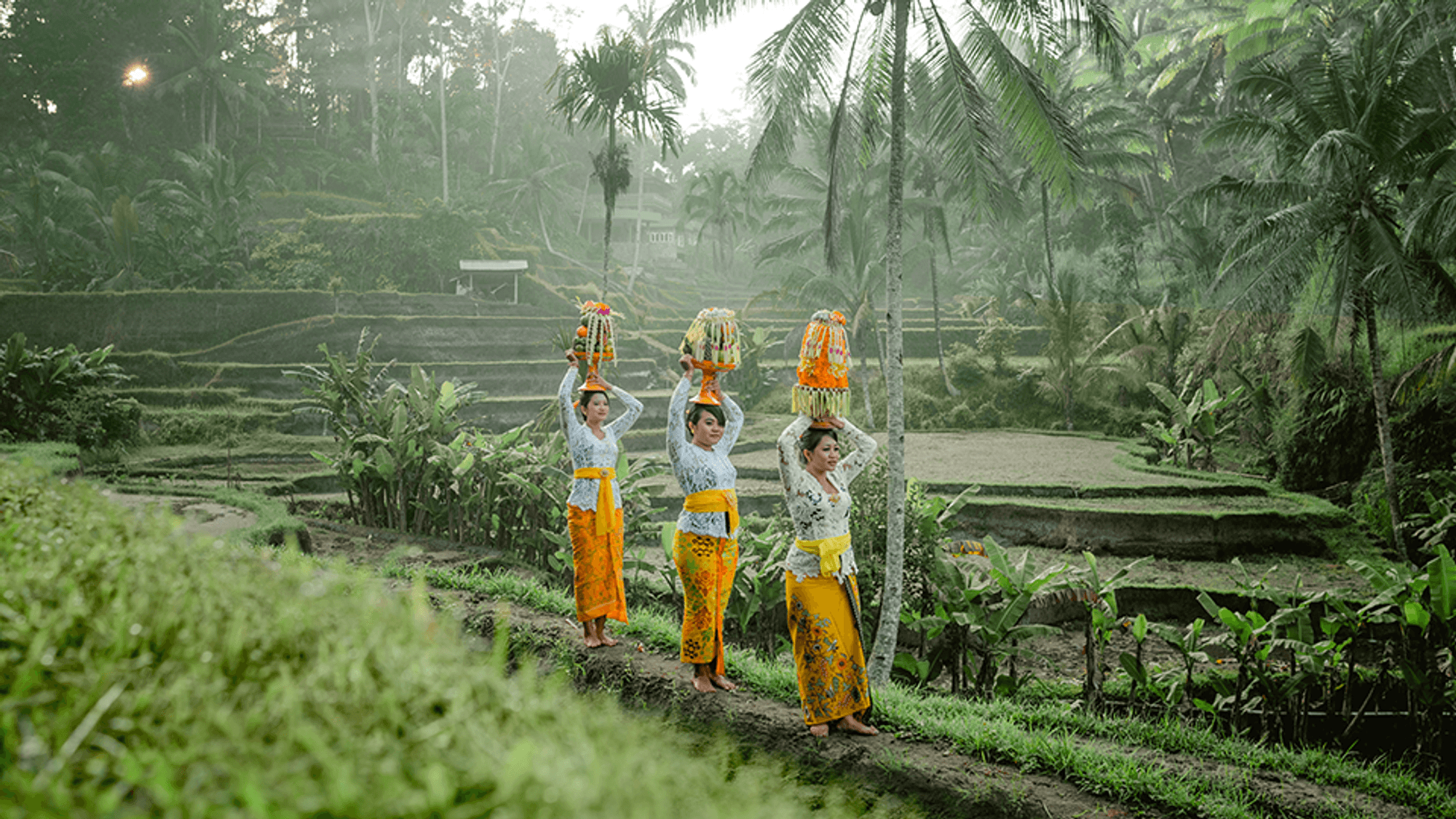 The Charming, Vibrant and Unique Cultural Richness of Bali Article