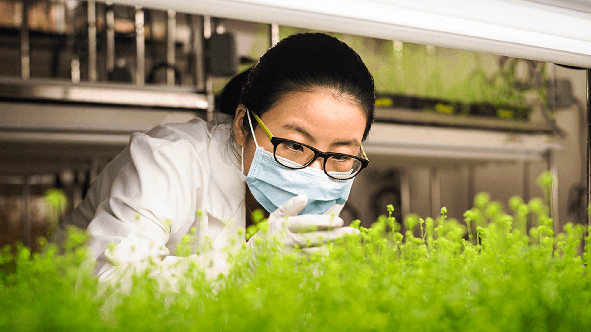 Thailand sows seeds of STEM talent for investment in the future | Article