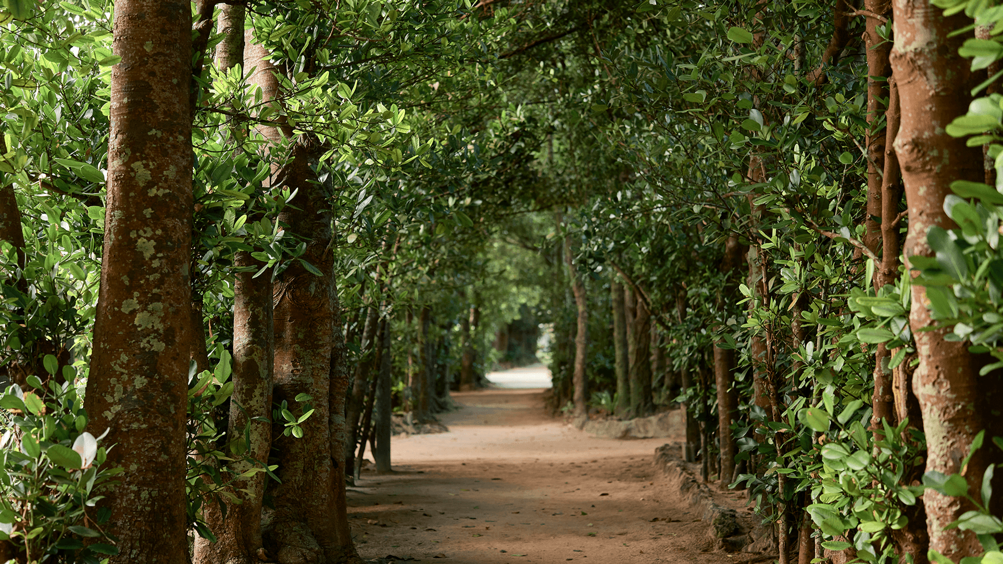 A natural balance: Local culture and endemic wildlife in northern ...