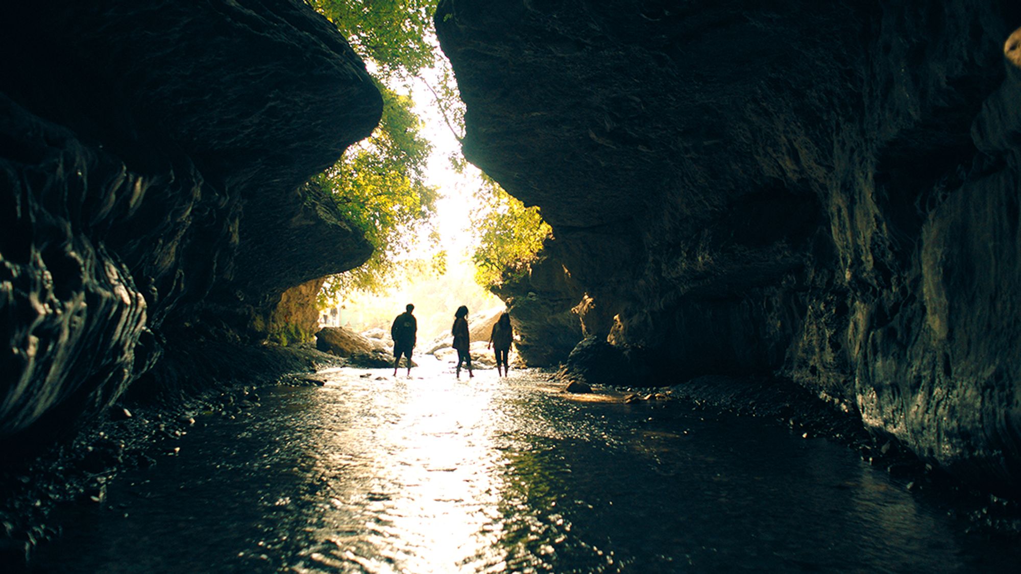 the-quest-for-adrenaline