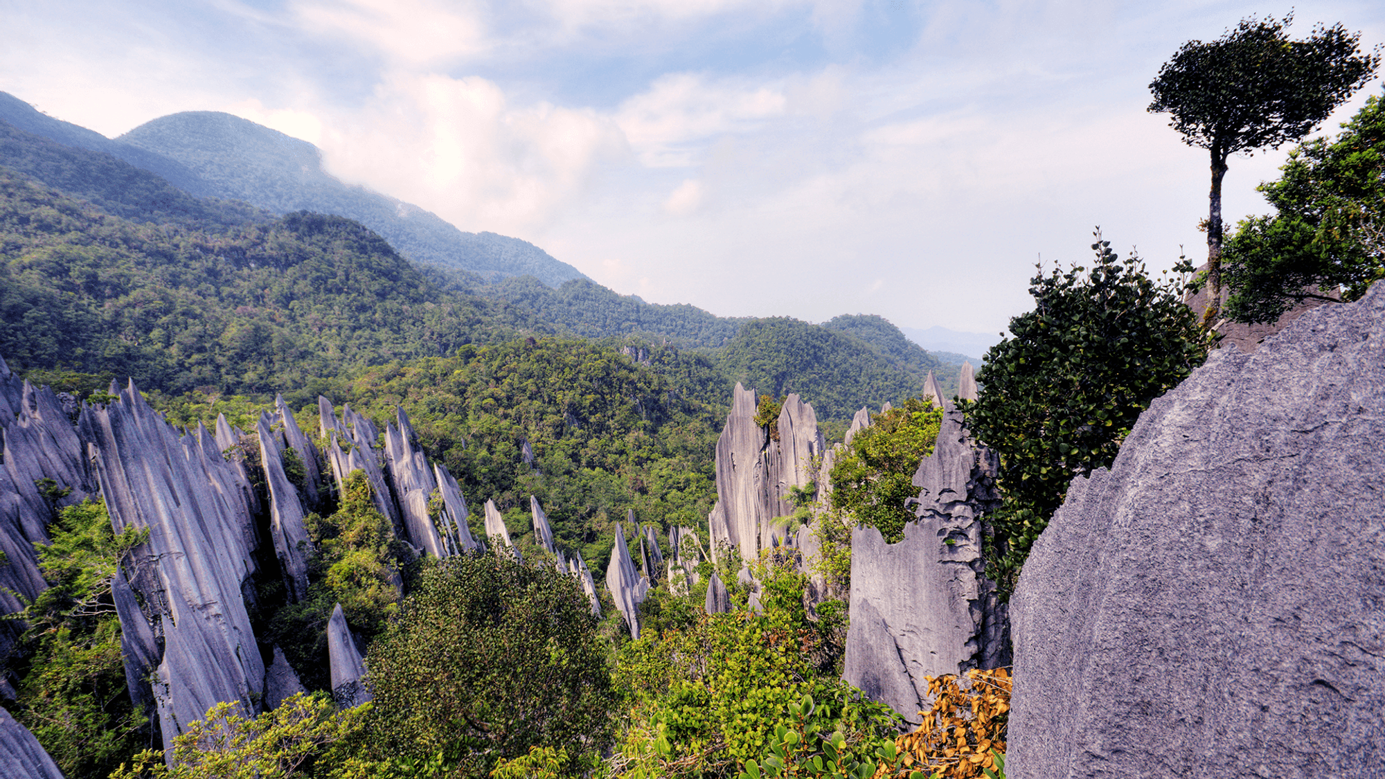 Six days in Sarawak, the wild heart of Malaysian Borneo | Itinerary