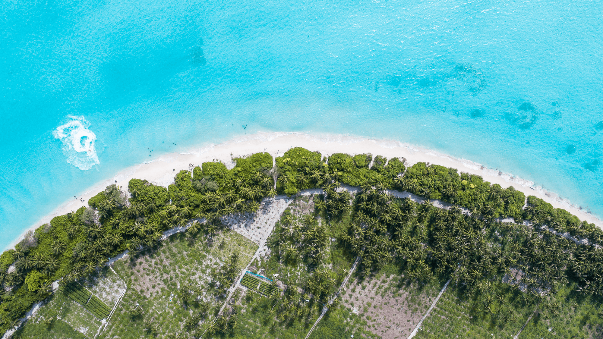 Island-hopping in the 'real' Maldives | Article