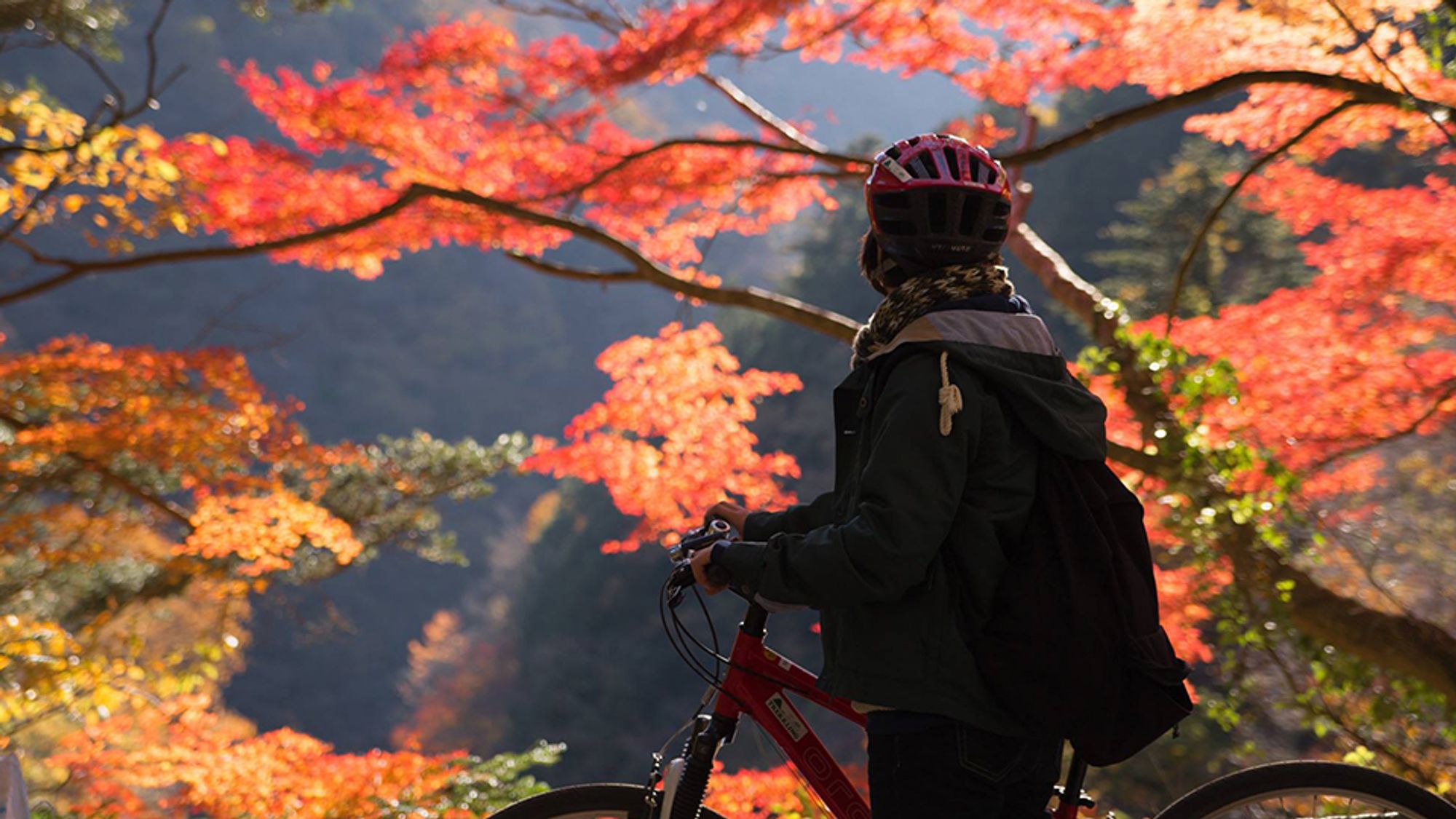 The Tokyo you nearly missed: A writer's personal guide for soul ...