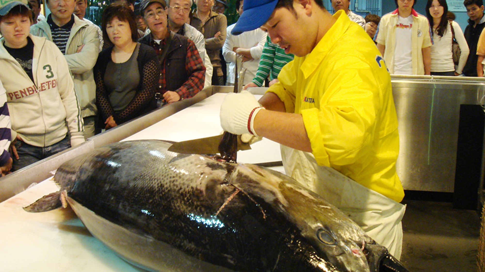 Splendours of the Sea - Article