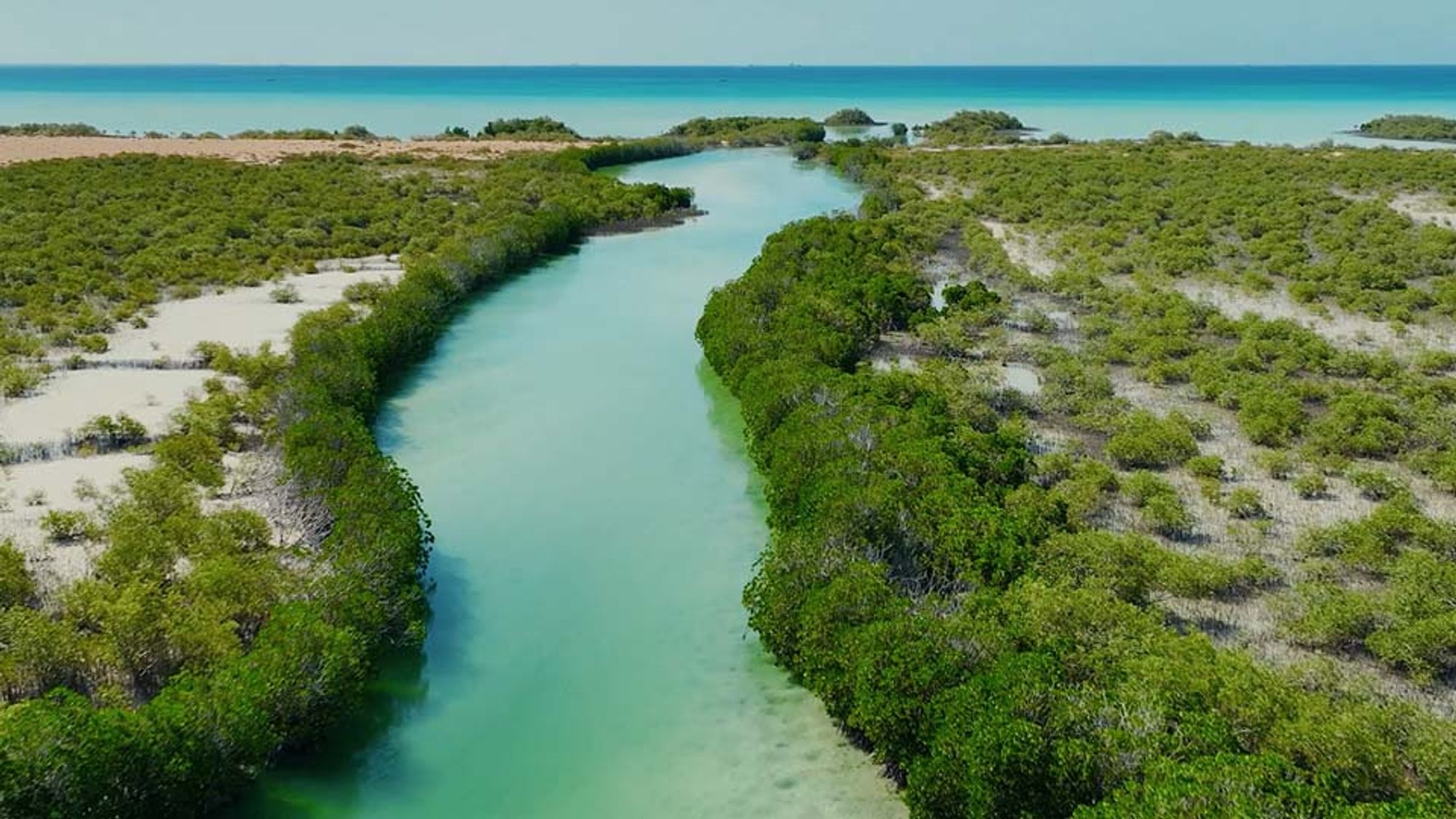 Meet the destination developer rediscovering the Red Sea to transform ...