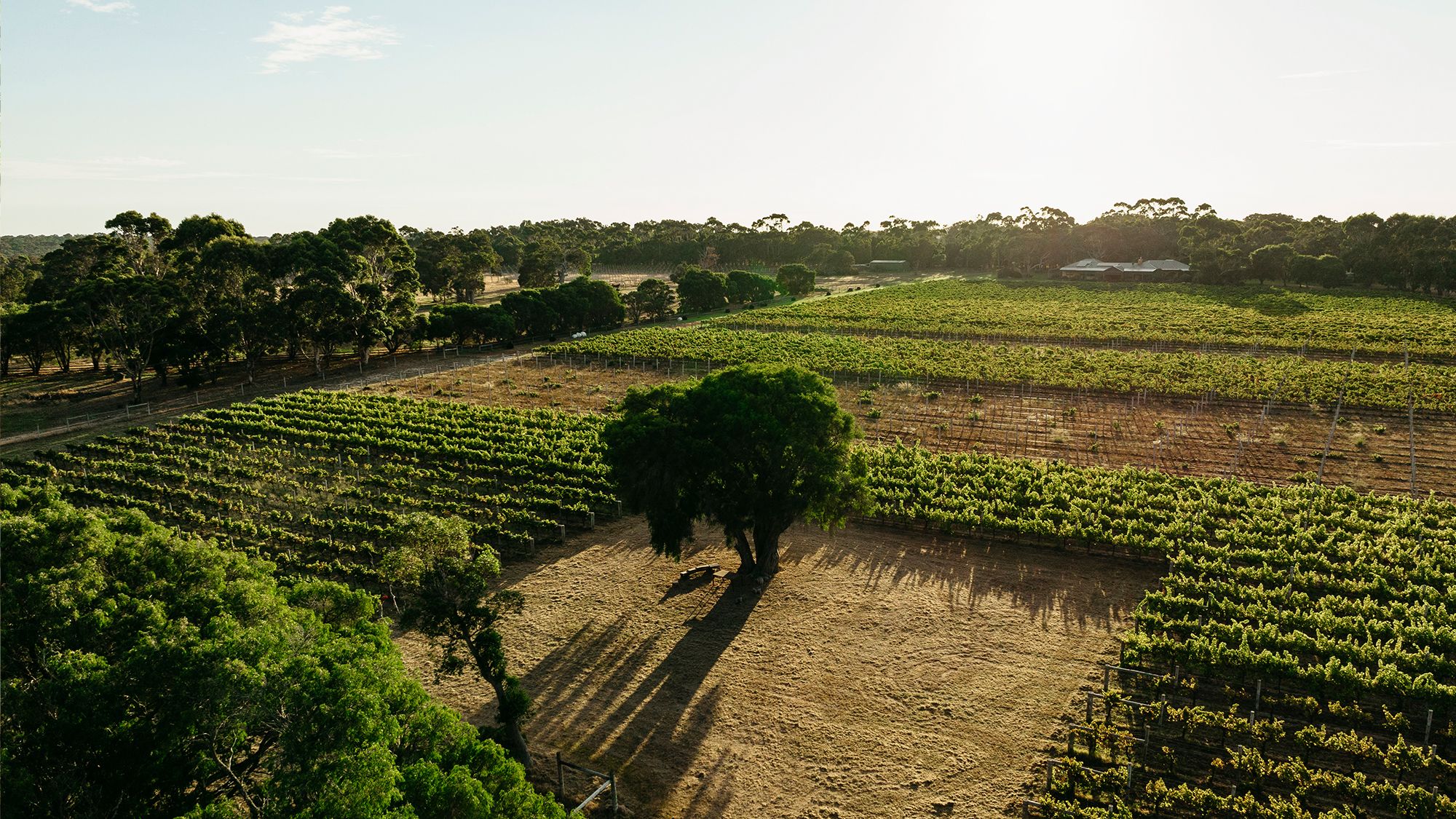 Western Australia: A land of abundance - Article