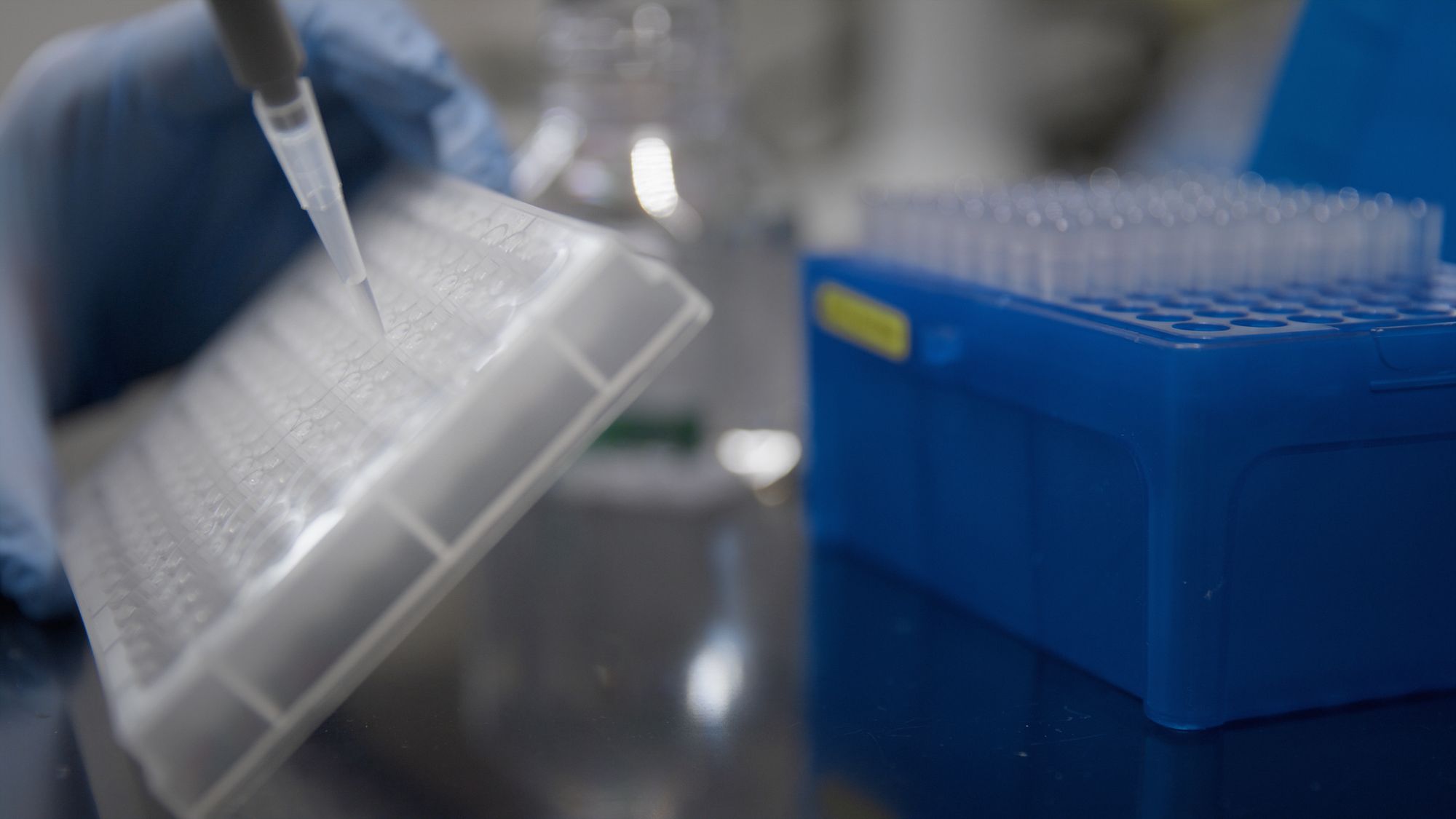 How immunisation helps protect new lives