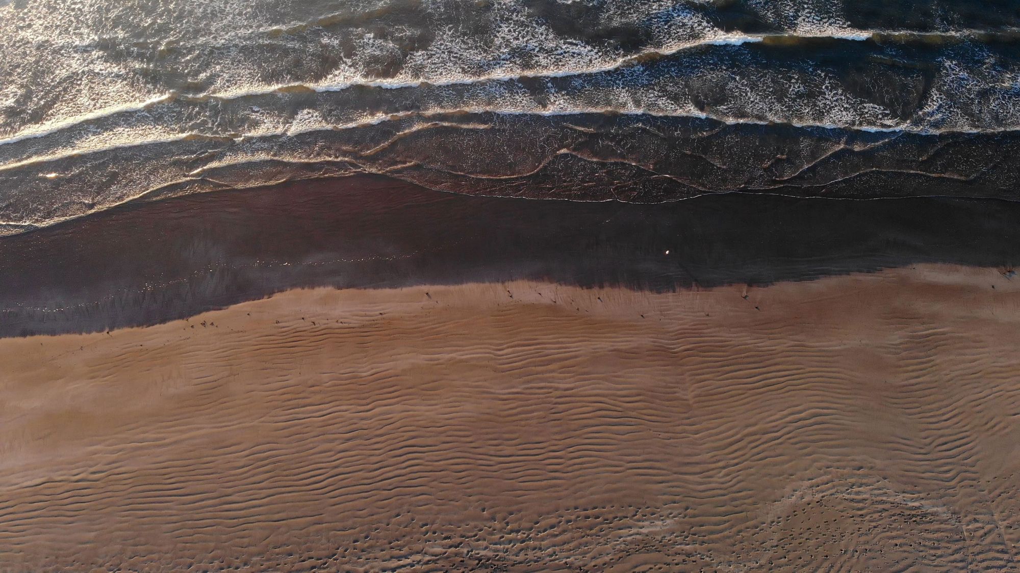 Science Foundation Ireland - Coastal Erosion