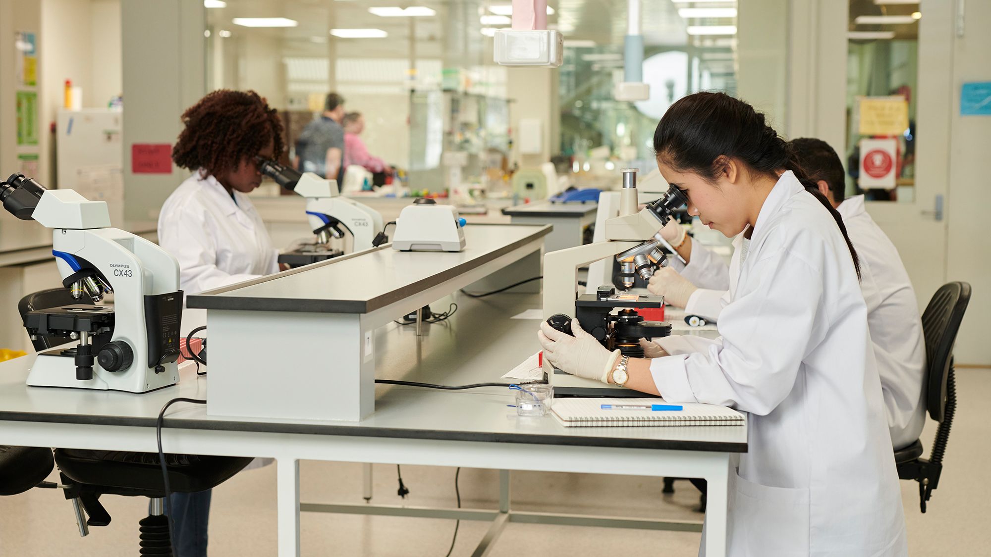 Strike the perfect balance: a world-class education, a world-class ...