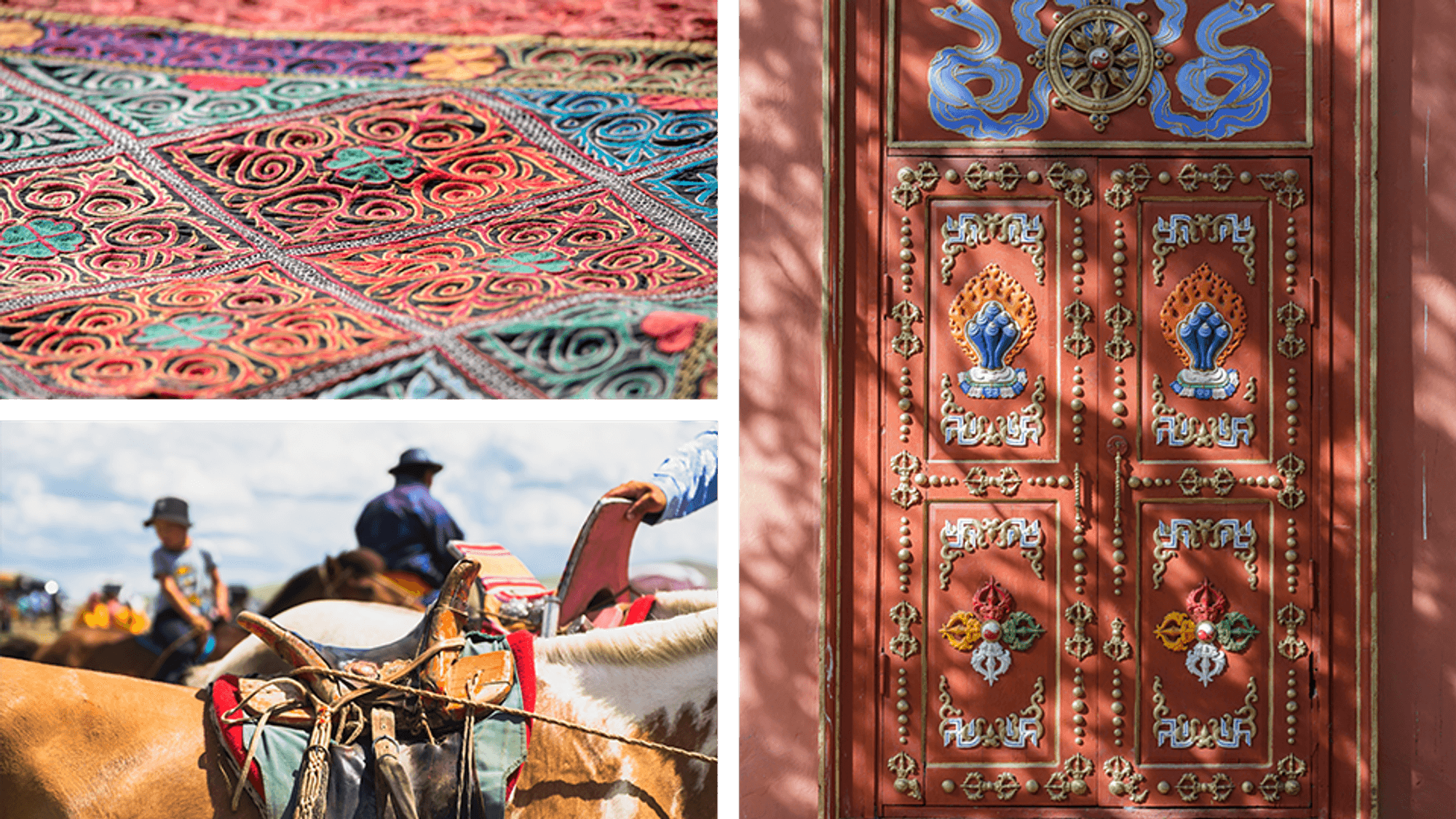 Meet Modern Mongolia