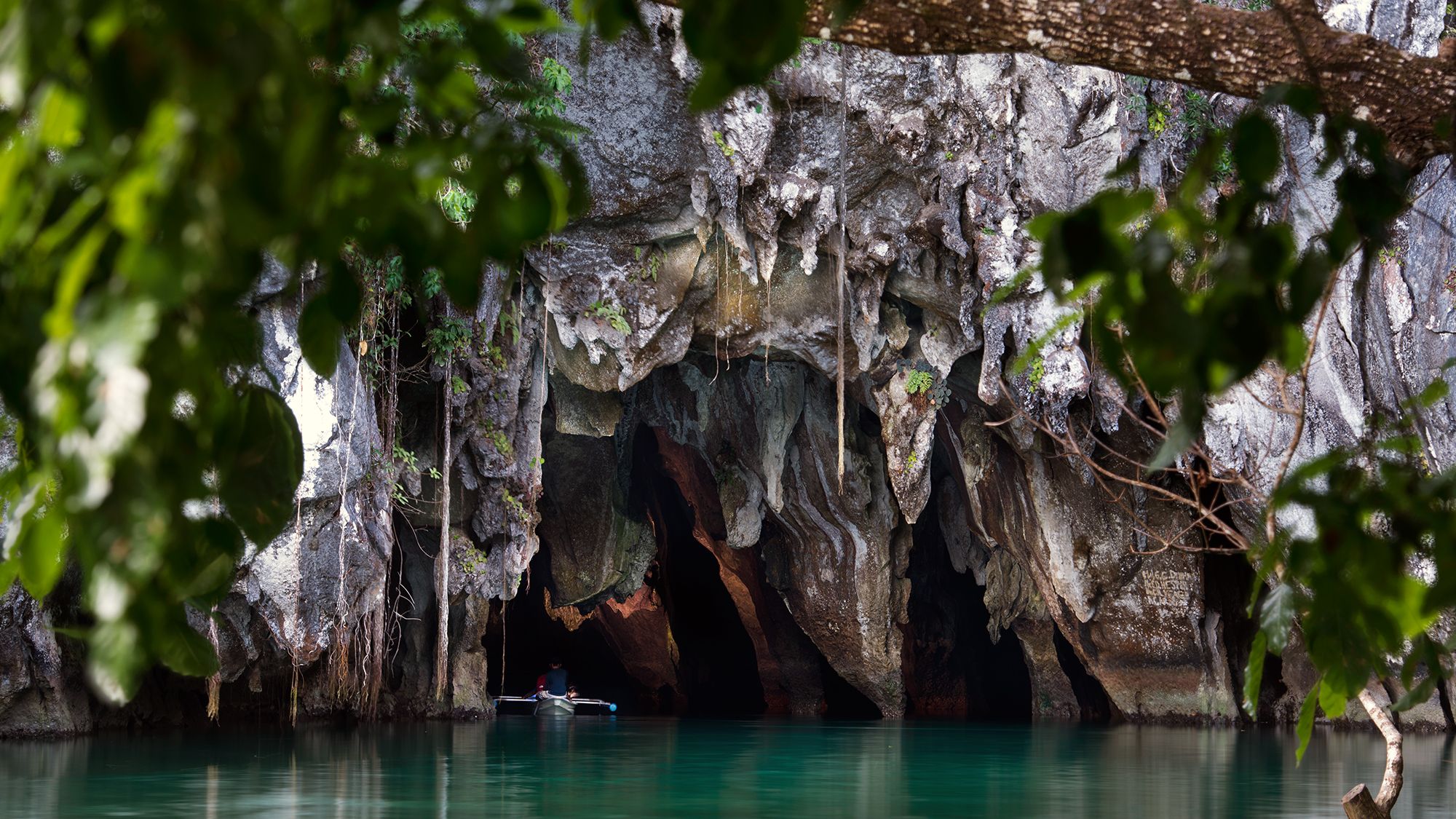 How deep is your love? Discover marine diversity in the Philippines ...
