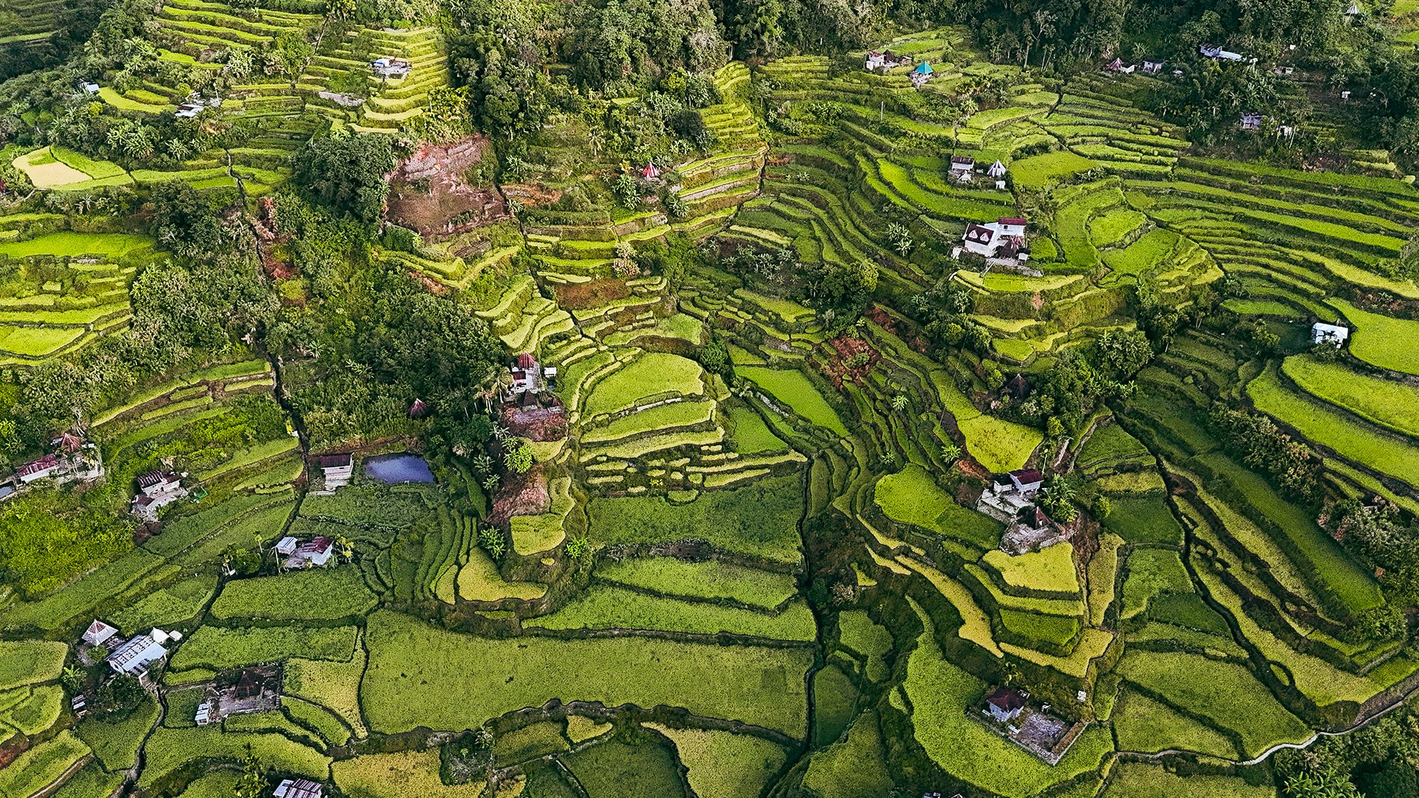A love for tradition: Exploring the Philippines' diverse cultural ...