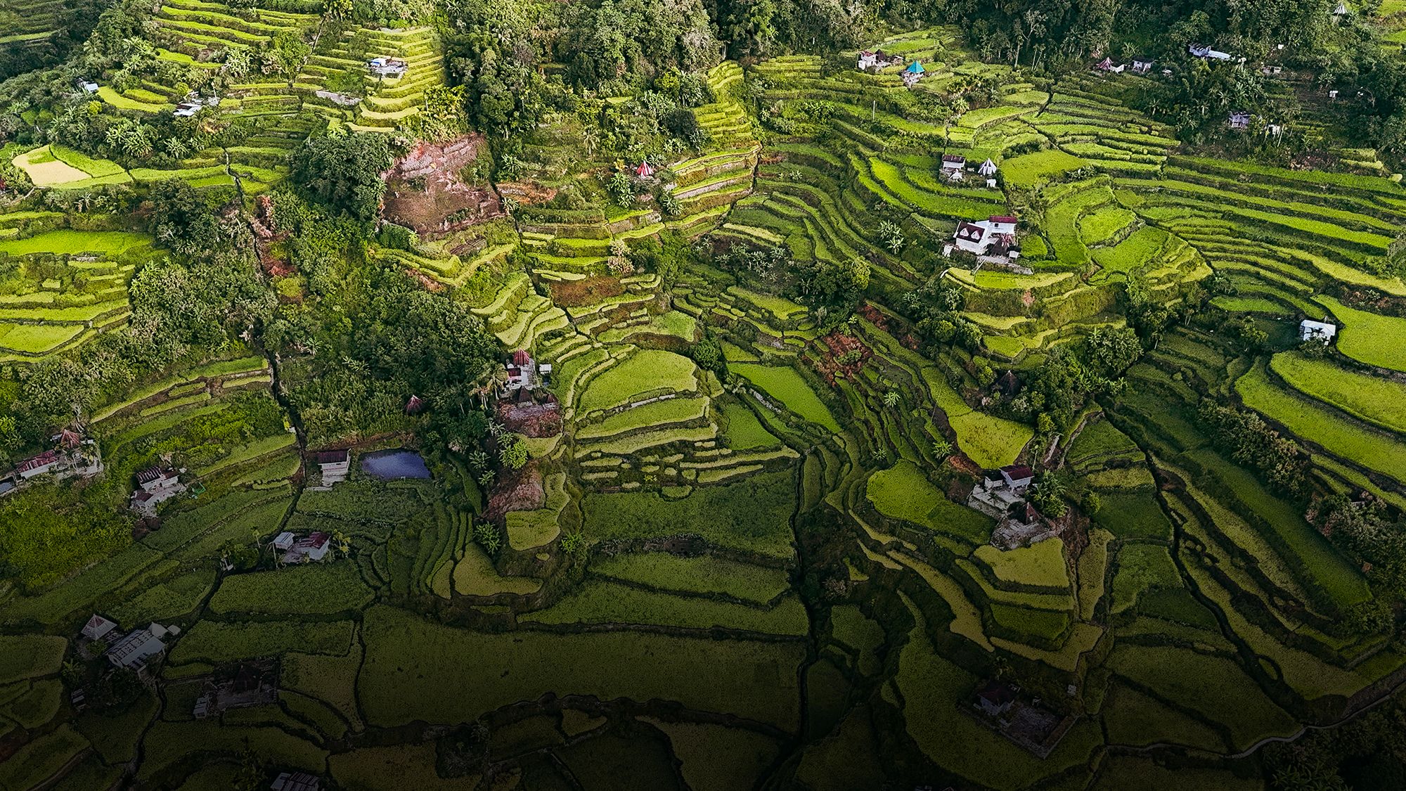 A love for tradition: Exploring the Philippines' diverse cultural ...