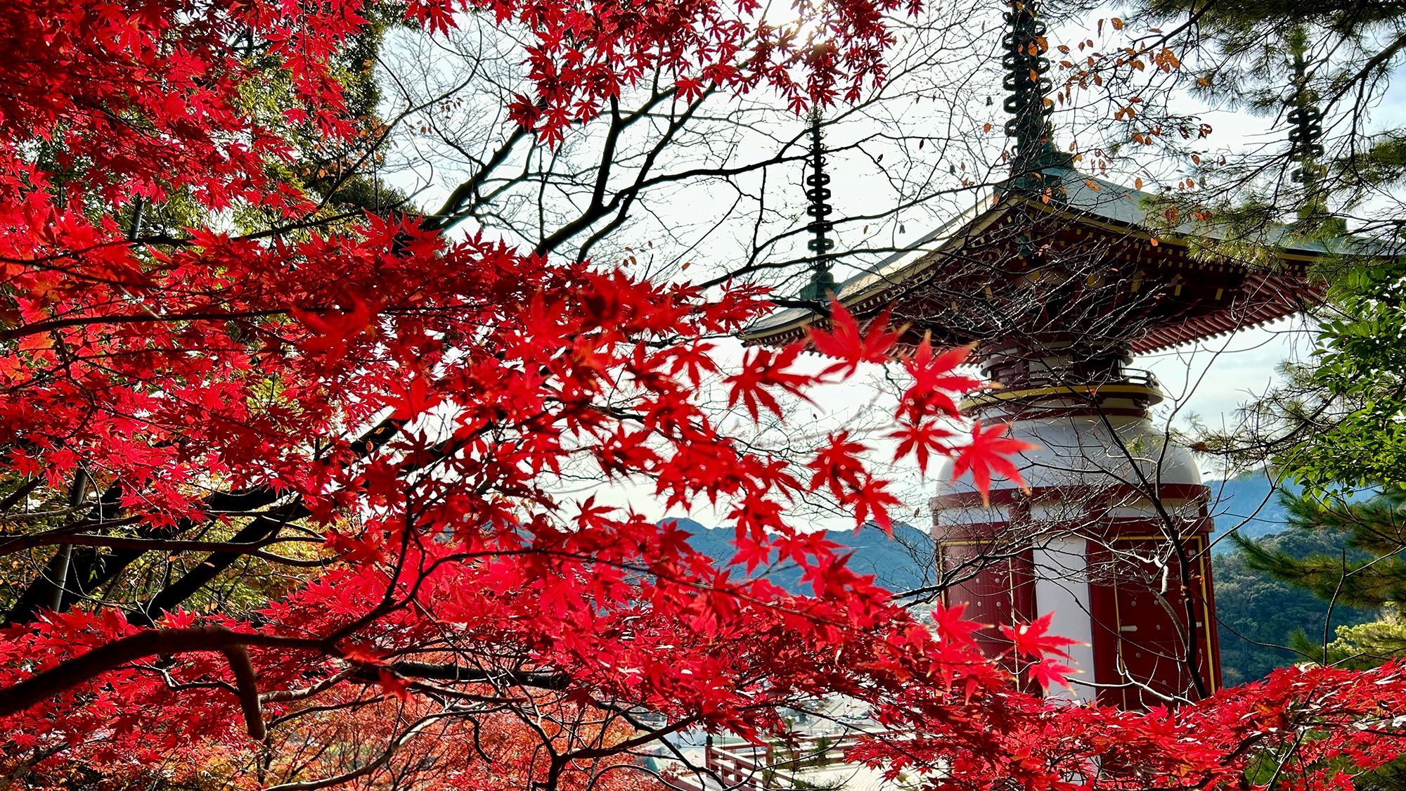 Embrace spiritualism on Japan's sacred nature trail: Shikoku guide ...