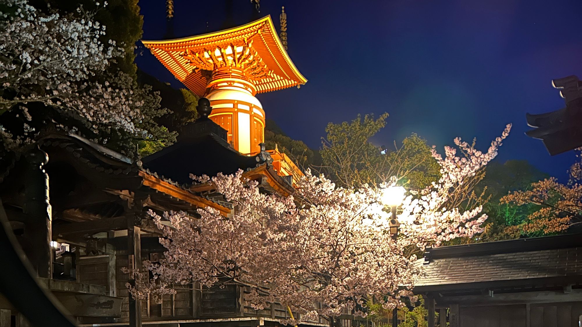 Embrace spiritualism on Japan's sacred nature trail: Shikoku guide ...