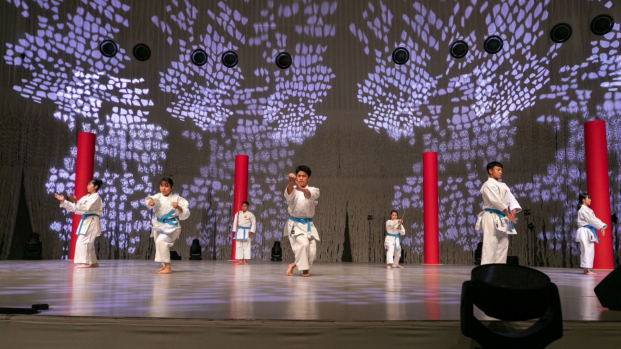 Okinawa Karate: The 'martial art of peace' showcased at the Osaka ...