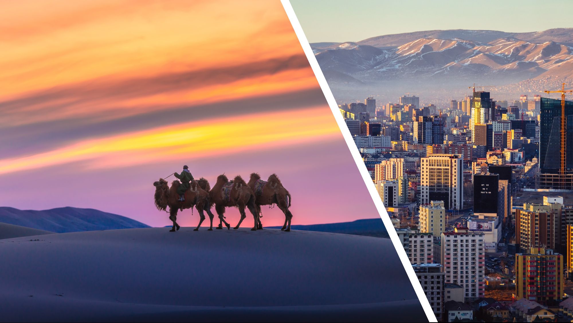 Meet Modern Mongolia