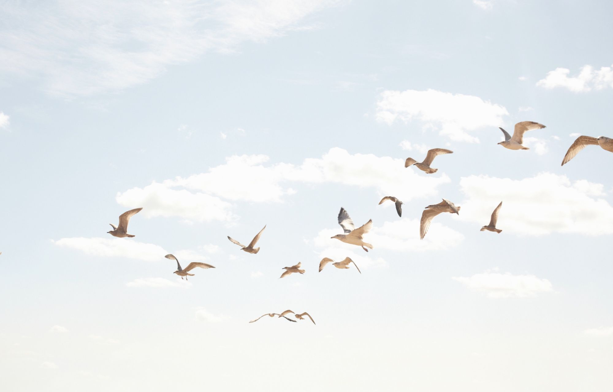 The Art Of The Possible Generative Ai