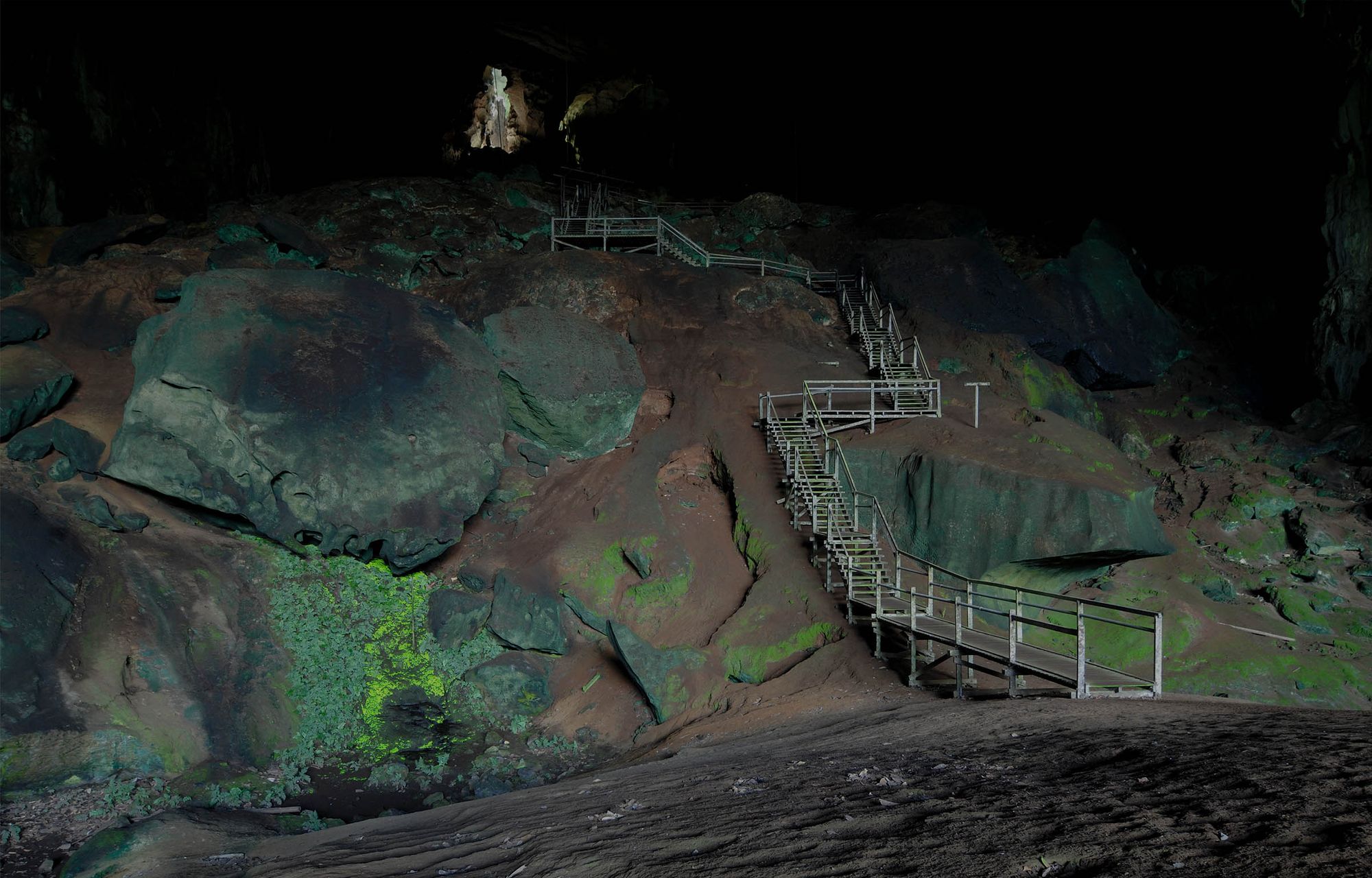 A journey through time: Exploring Borneo's mystical Danum Valley and ...